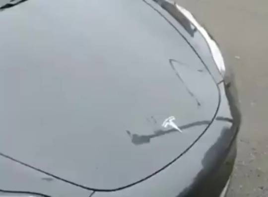 Maybe Maybe Maybe | Scrolller