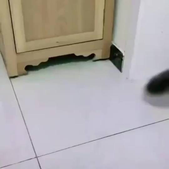 maybe maybe maybe | Scrolller