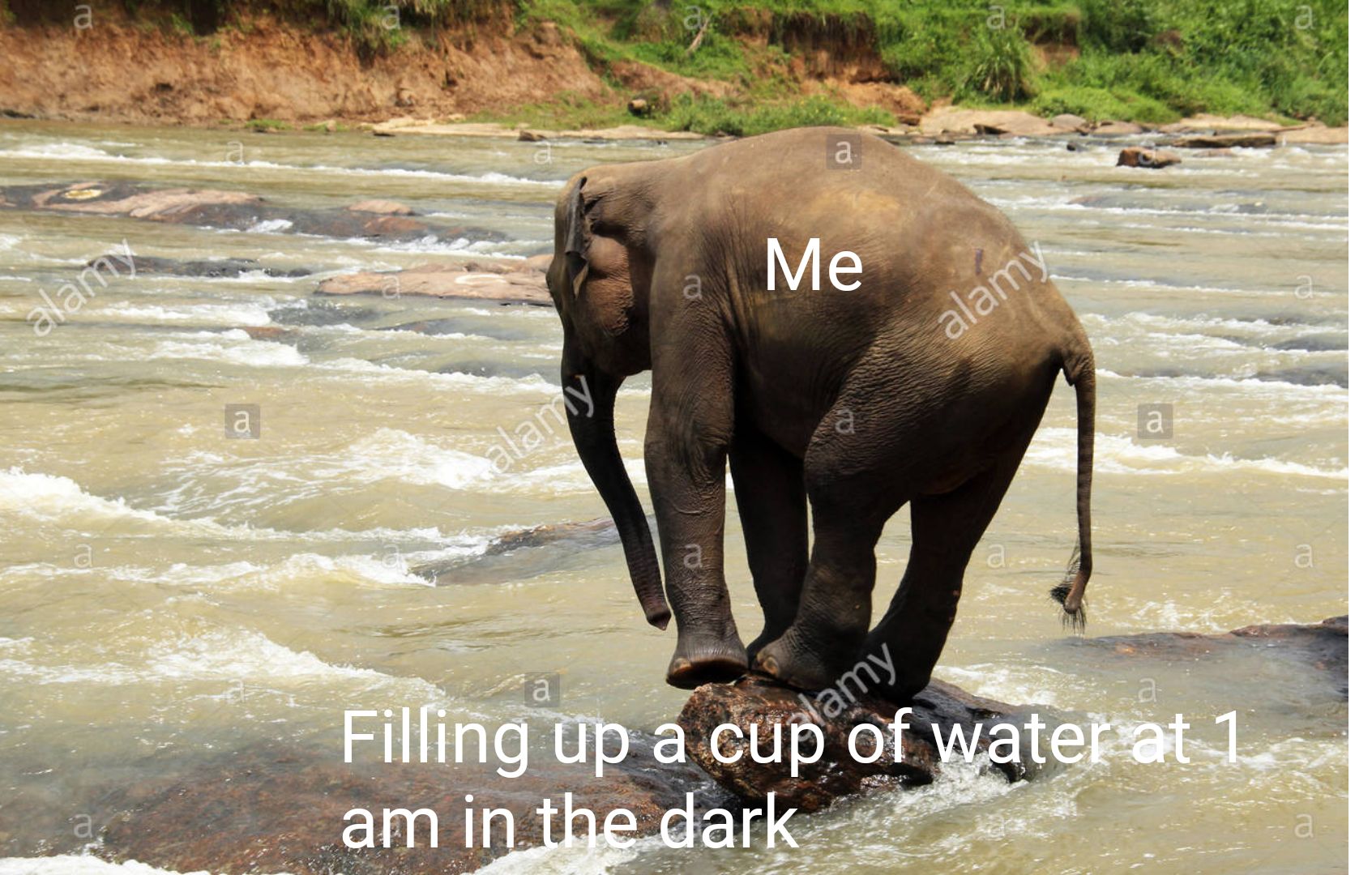 Me at 1 AM | Scrolller