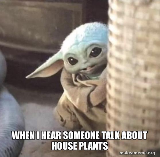 Me in a nutshell | Scrolller