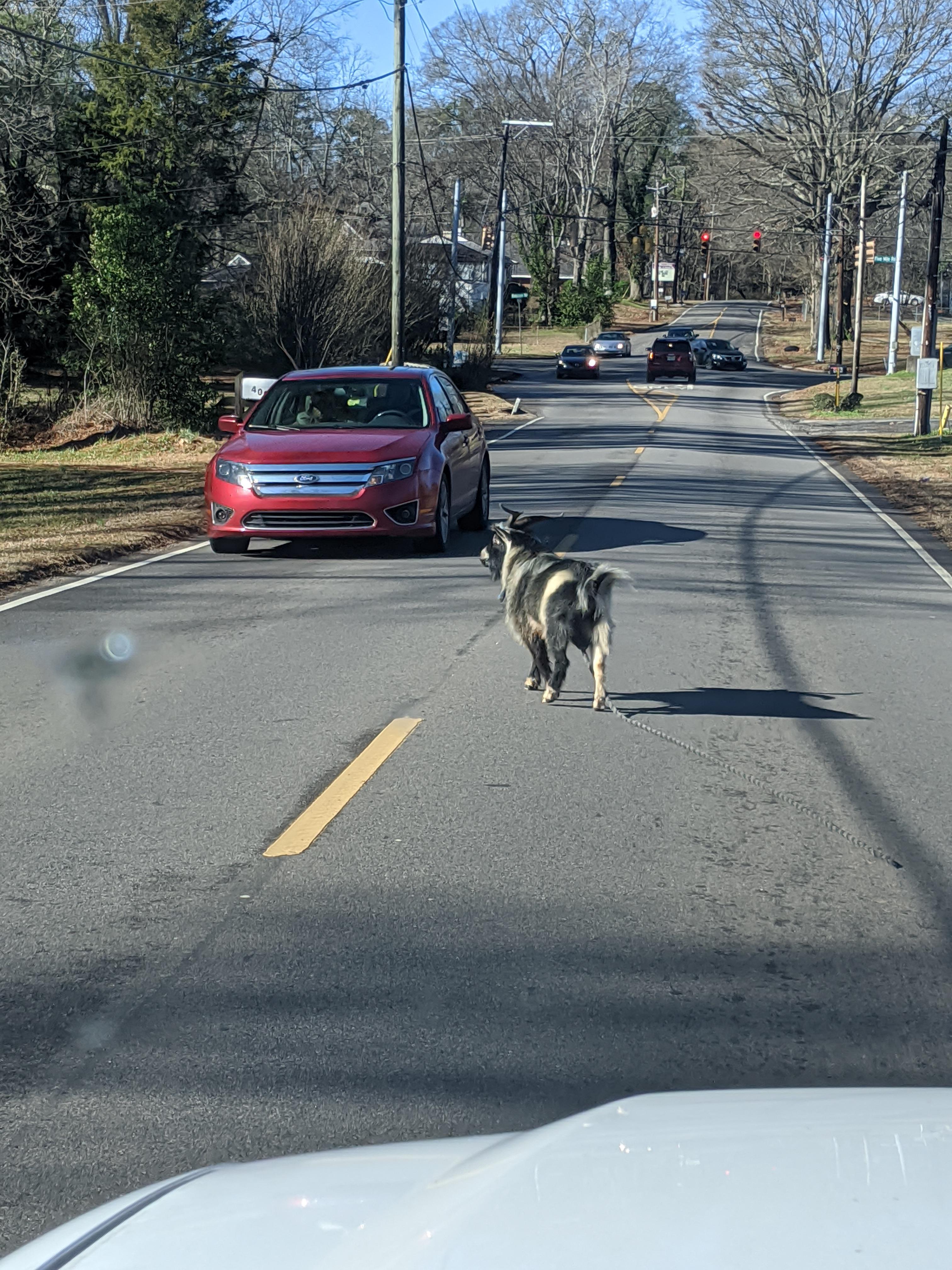 Meanwhile, in Center Point | Scrolller