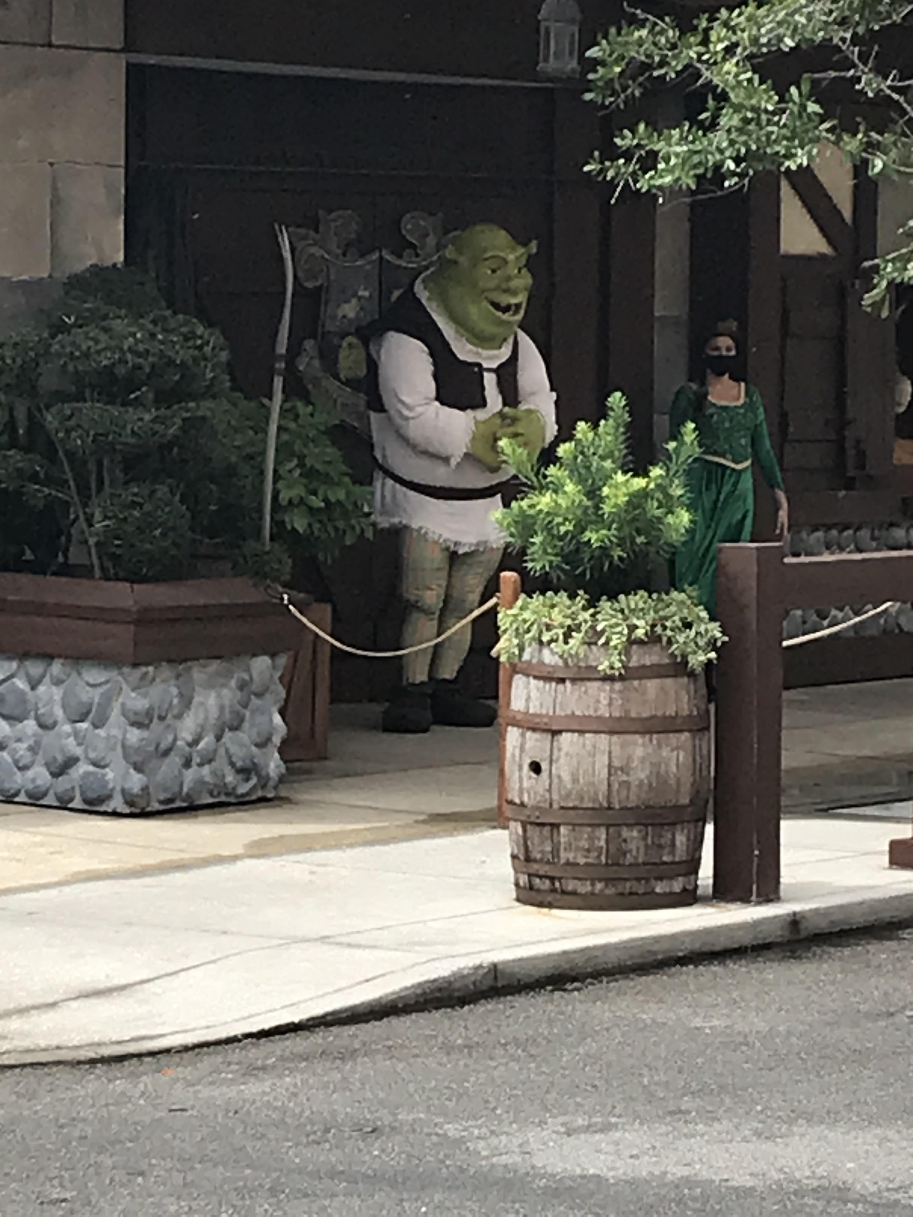 meet and greet with shrek today... ️ he brought his best friends to universal and no one showed ...