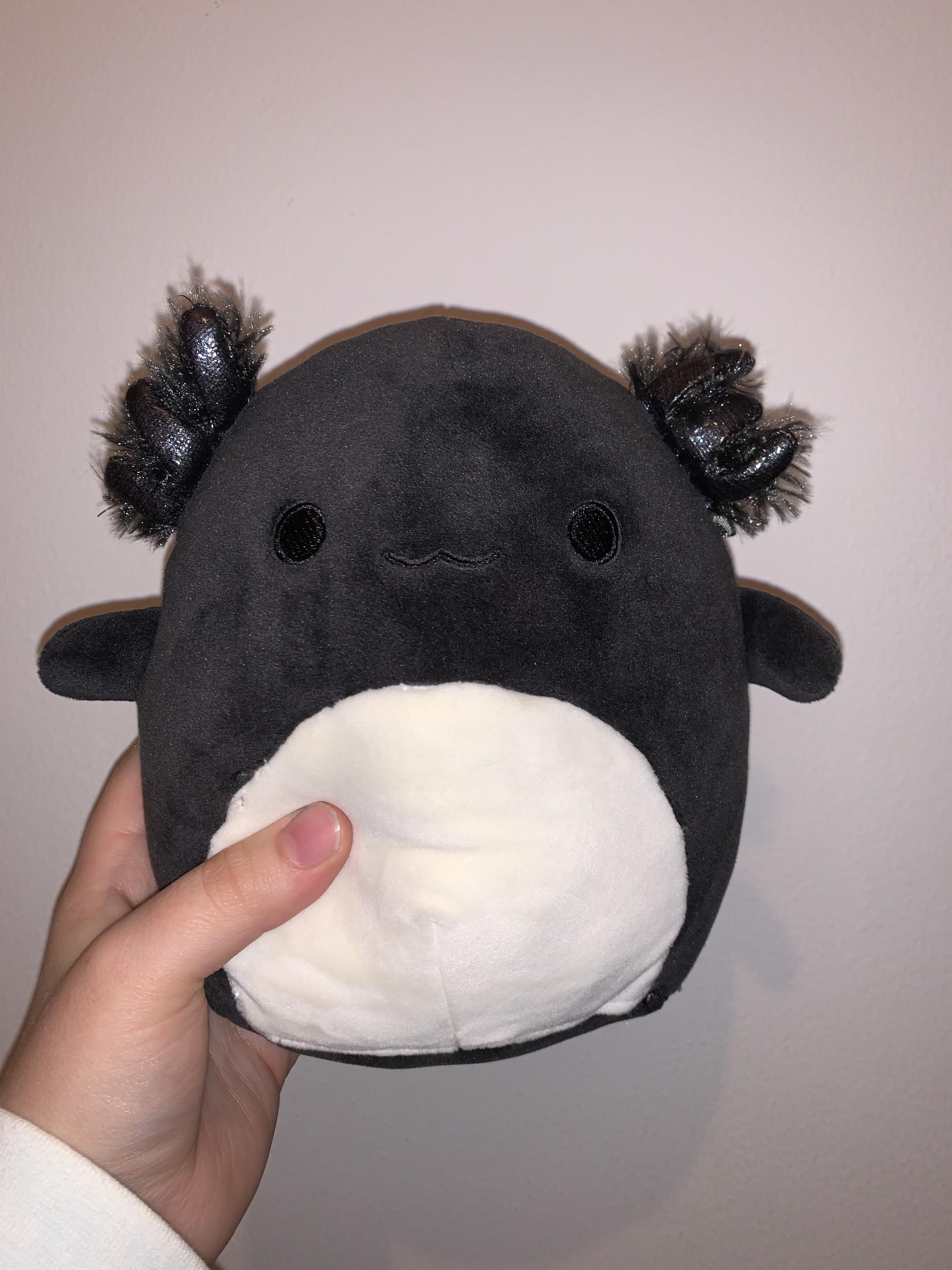 Meet Apollo the Blaxolotl, my first ever custom I’ve made so he’s a little wonky but tell me ...