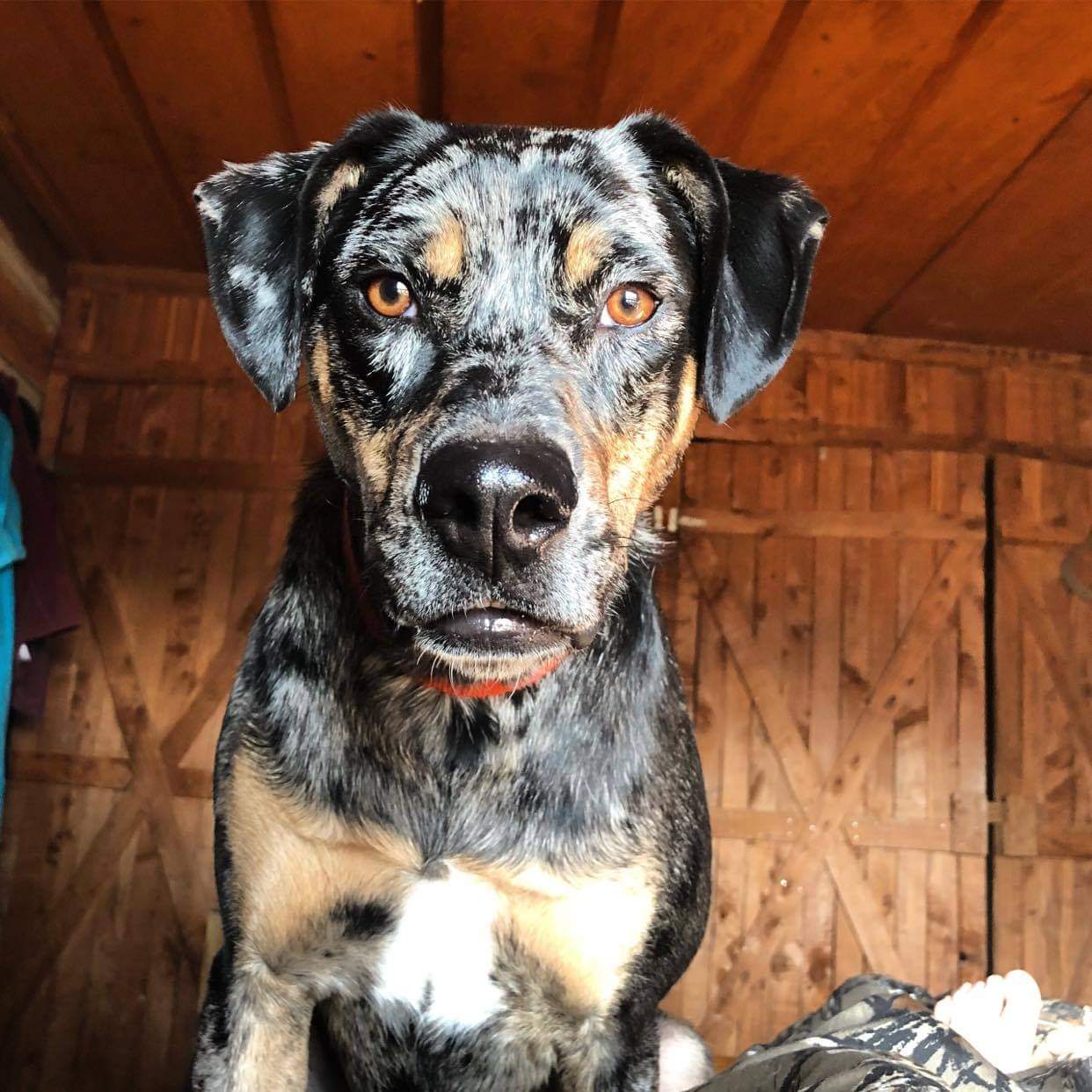 Meet Axis | Scrolller