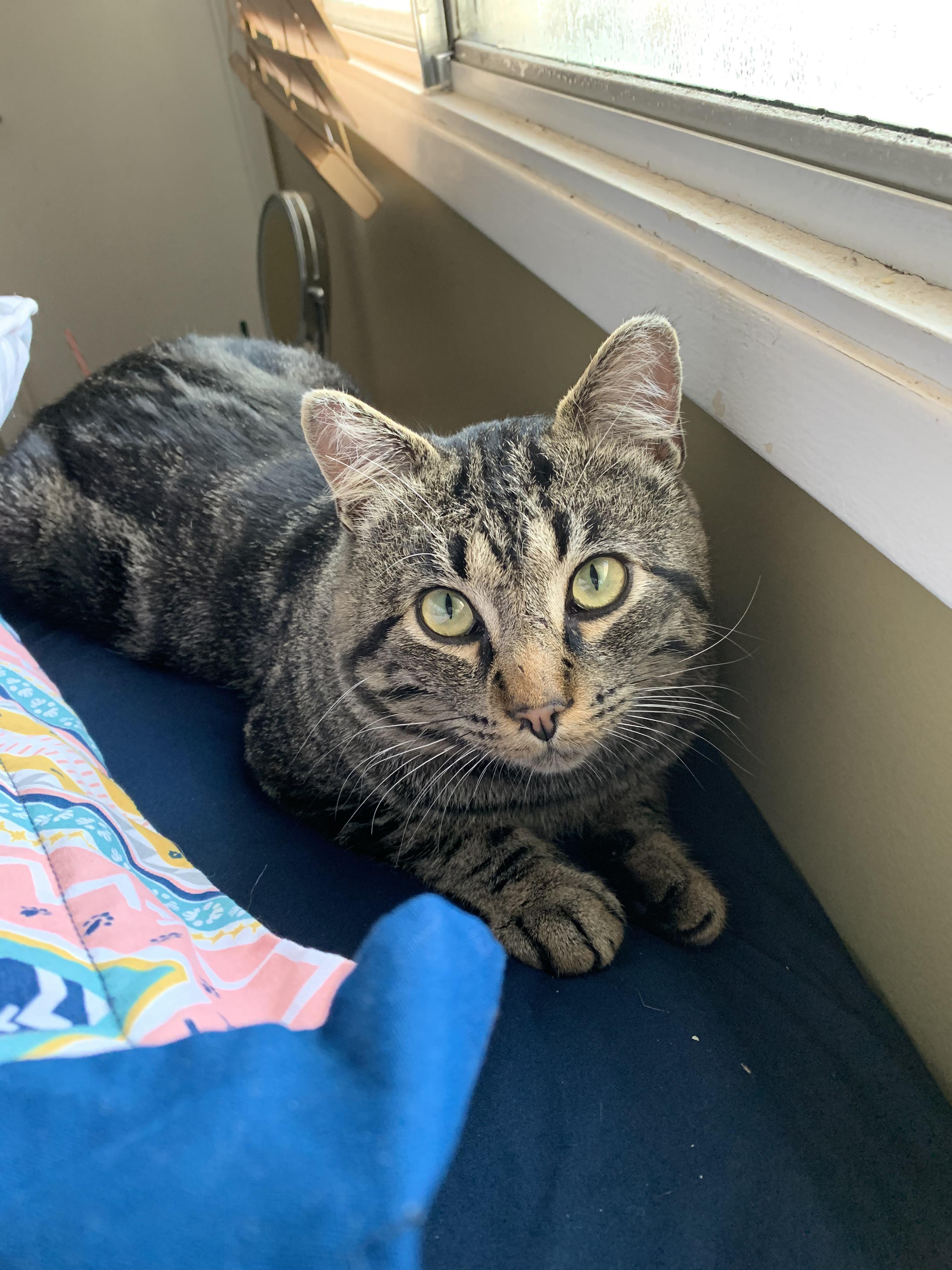 Meet bagel | Scrolller