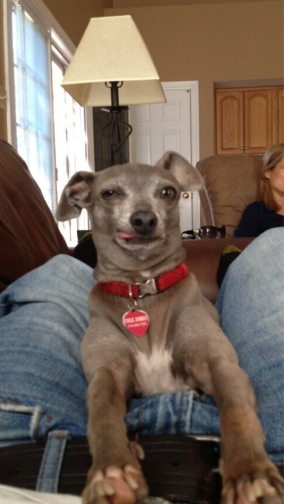 Meet Beans | Scrolller