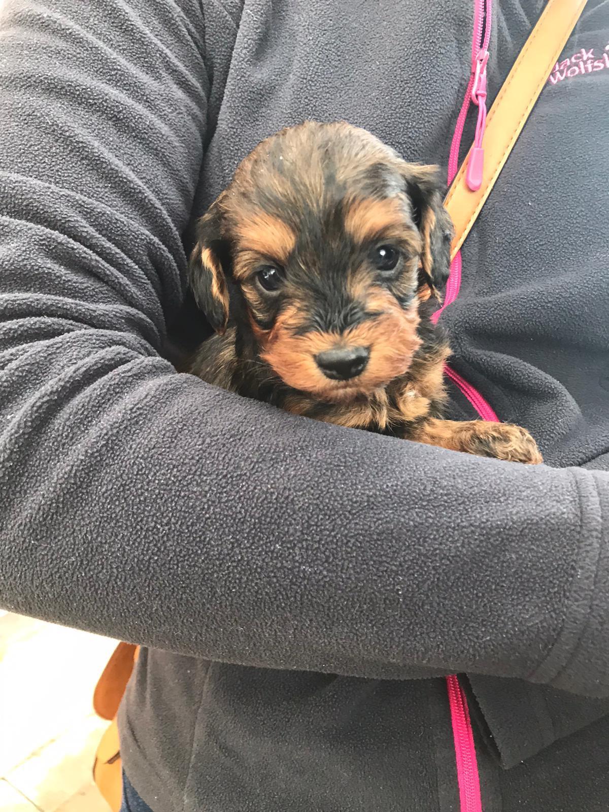 Meet Betty! | Scrolller