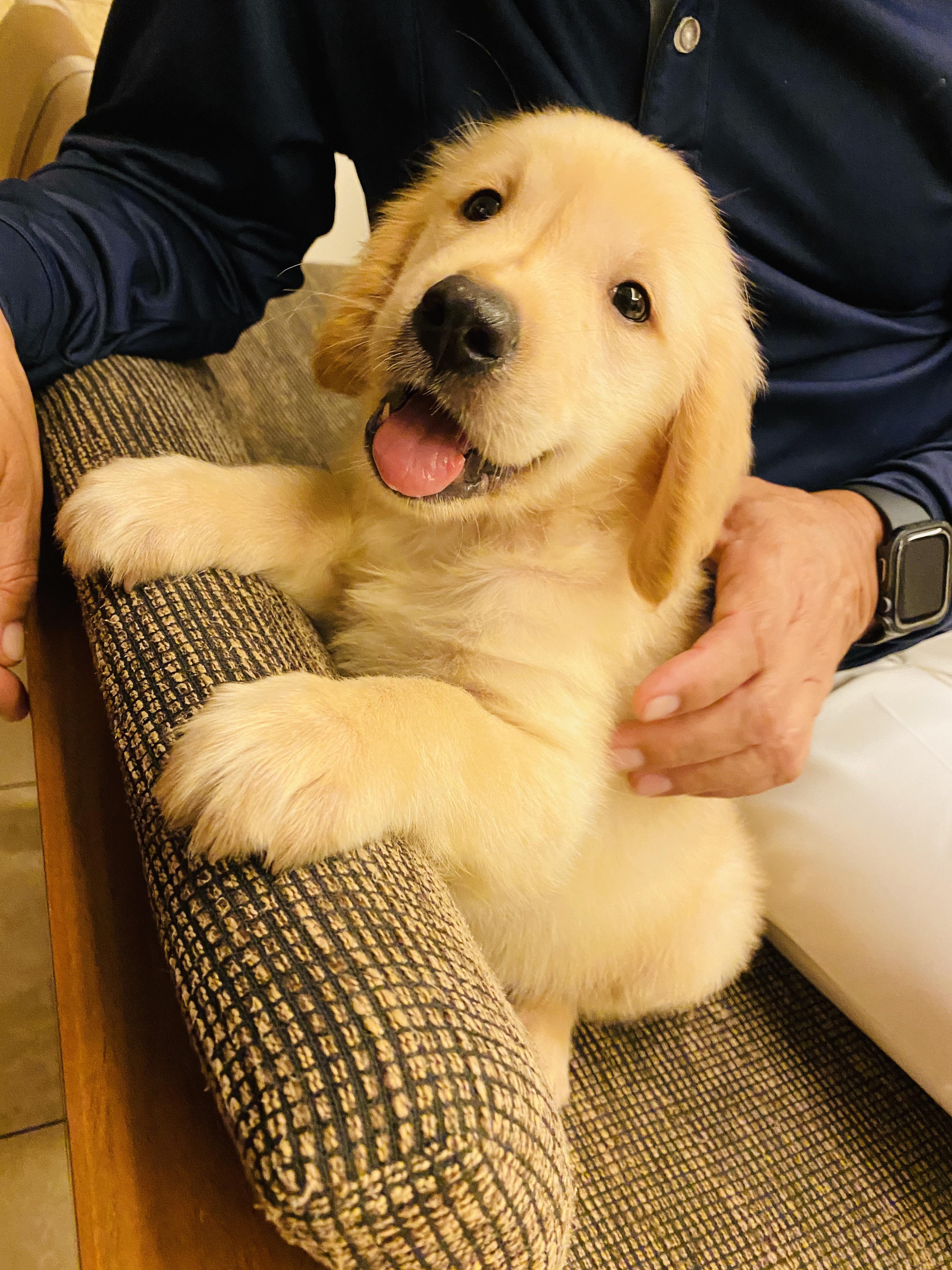 Meet Butters! | Scrolller