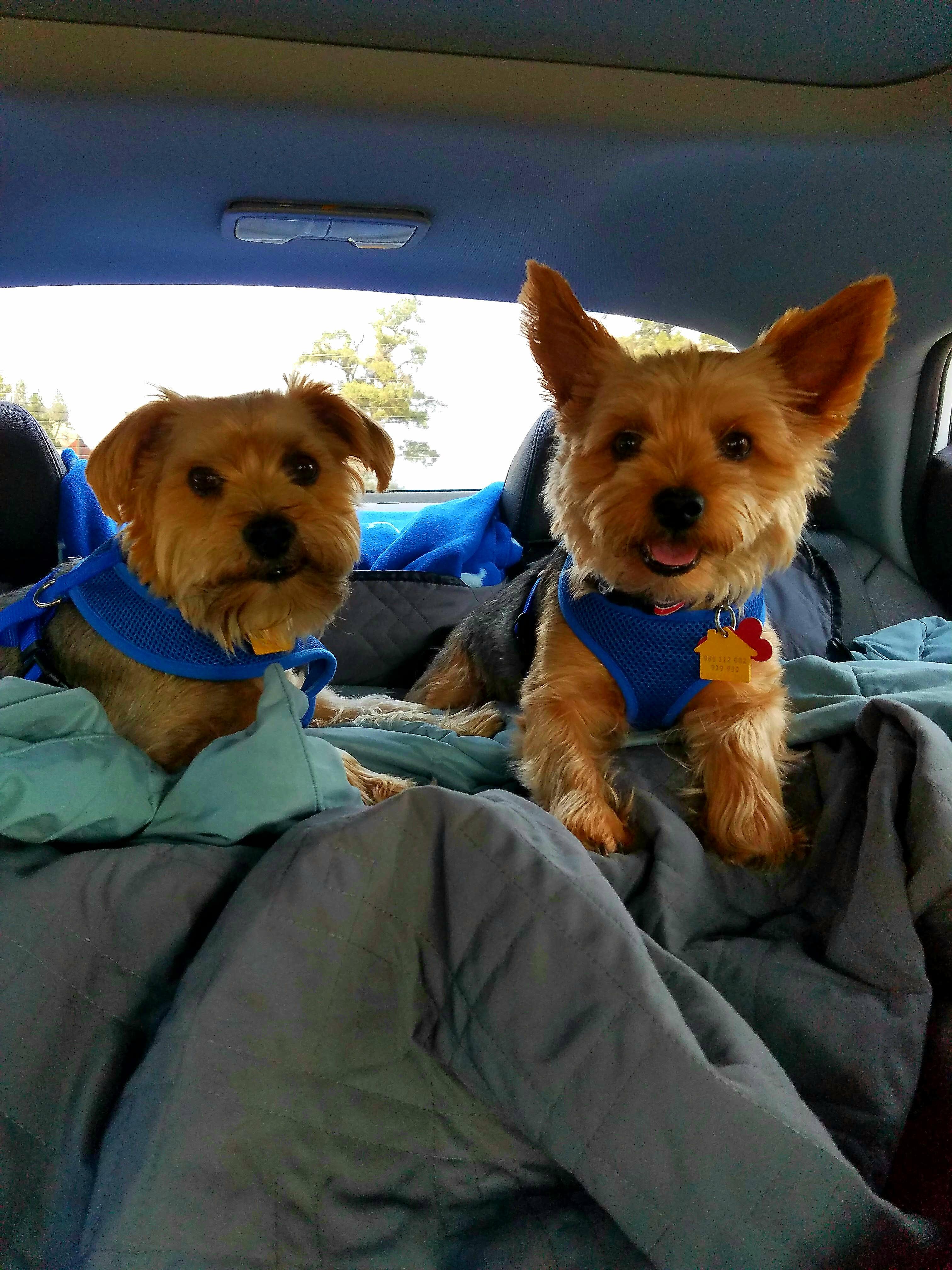 Meet Crush and Squirt ♡ | Scrolller