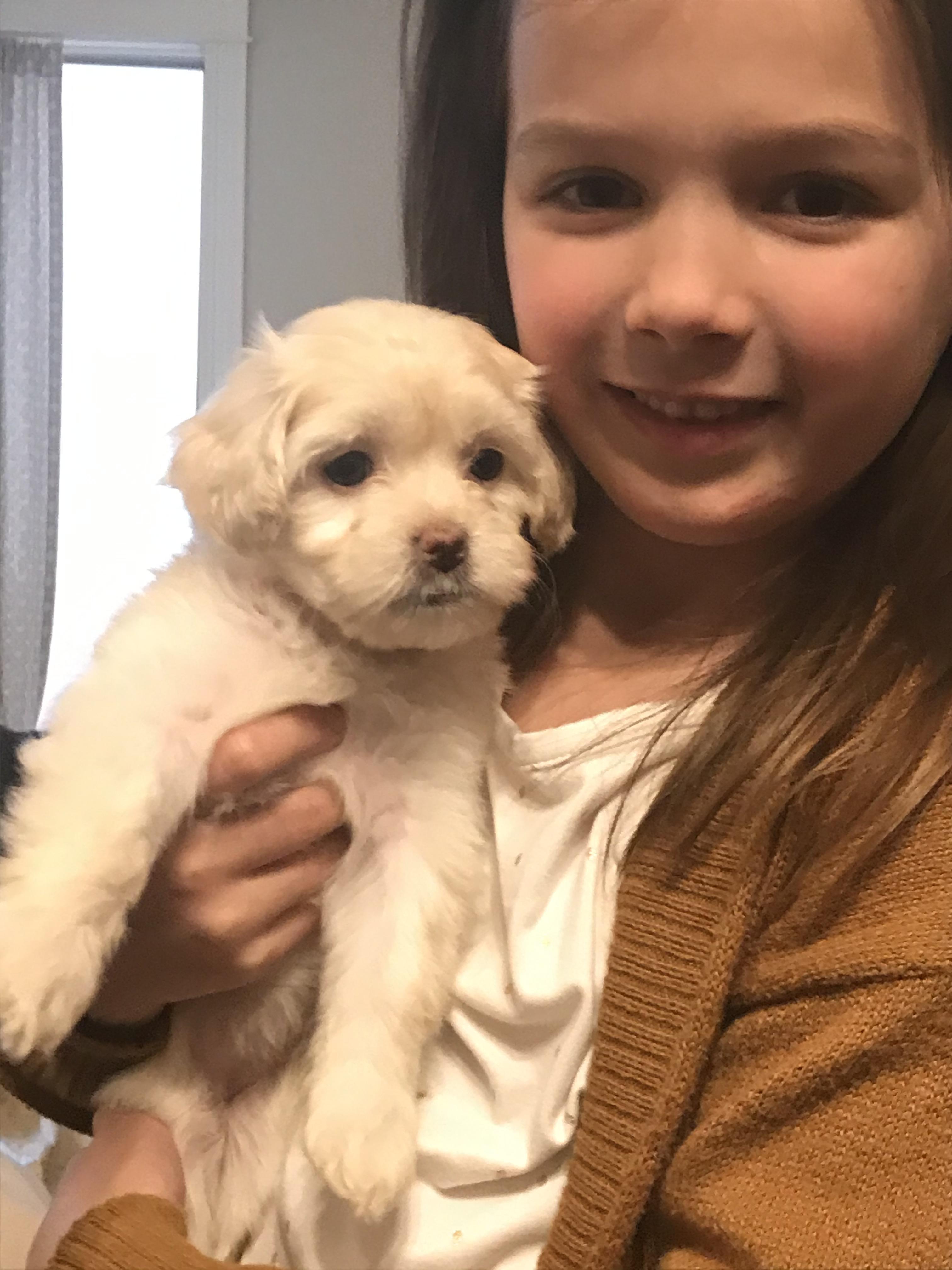 Meet Daisy 🎀 | Scrolller