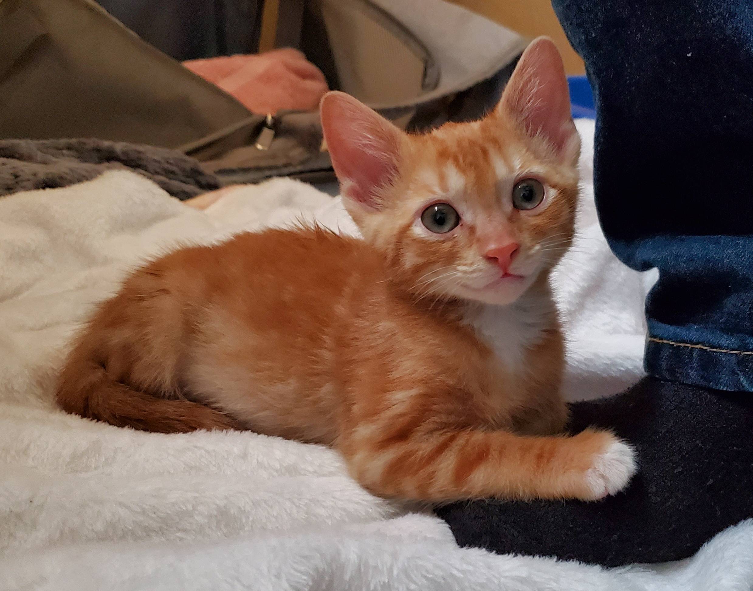 Meet Darwin! | Scrolller