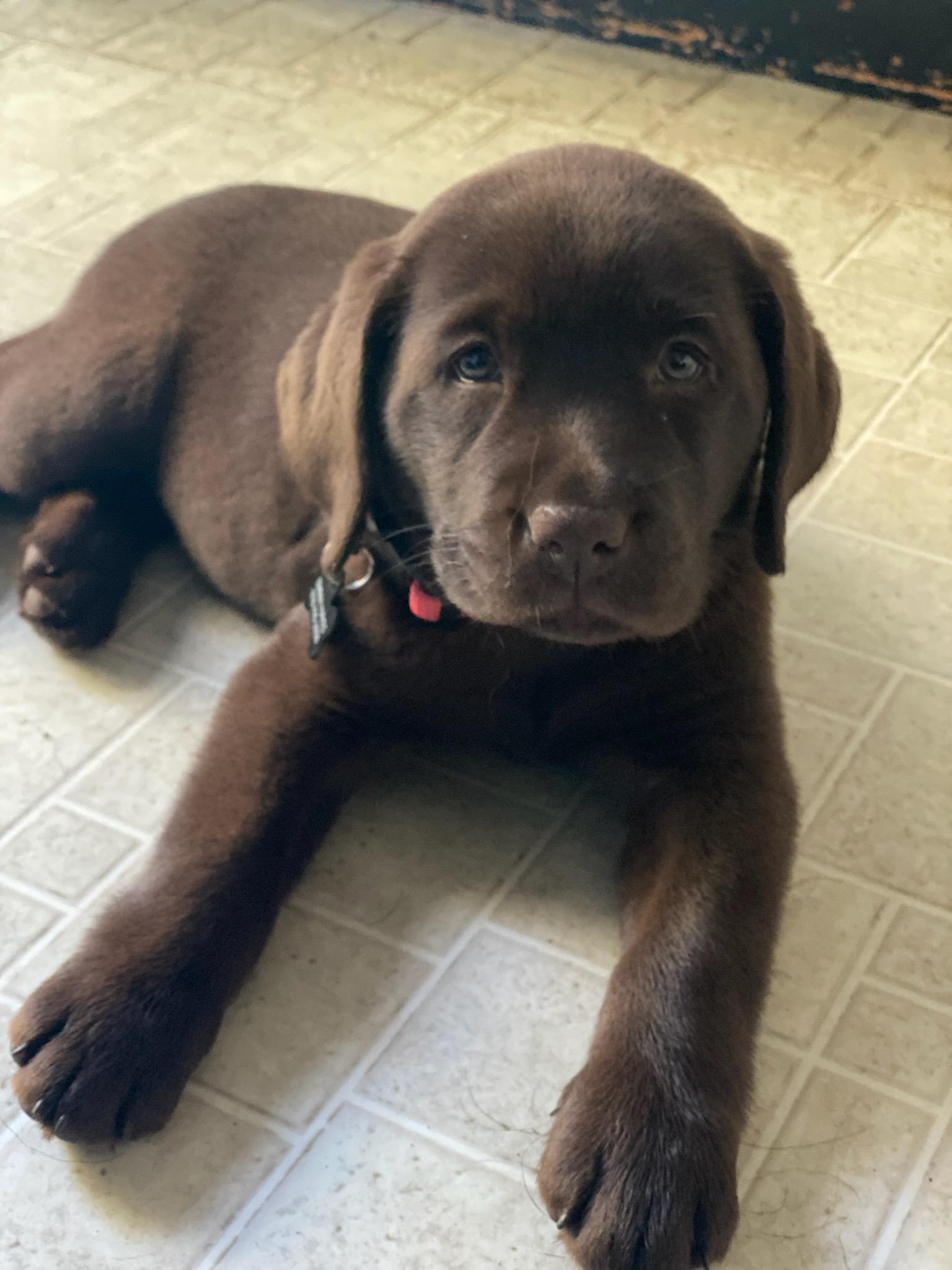 Meet Emma | Scrolller