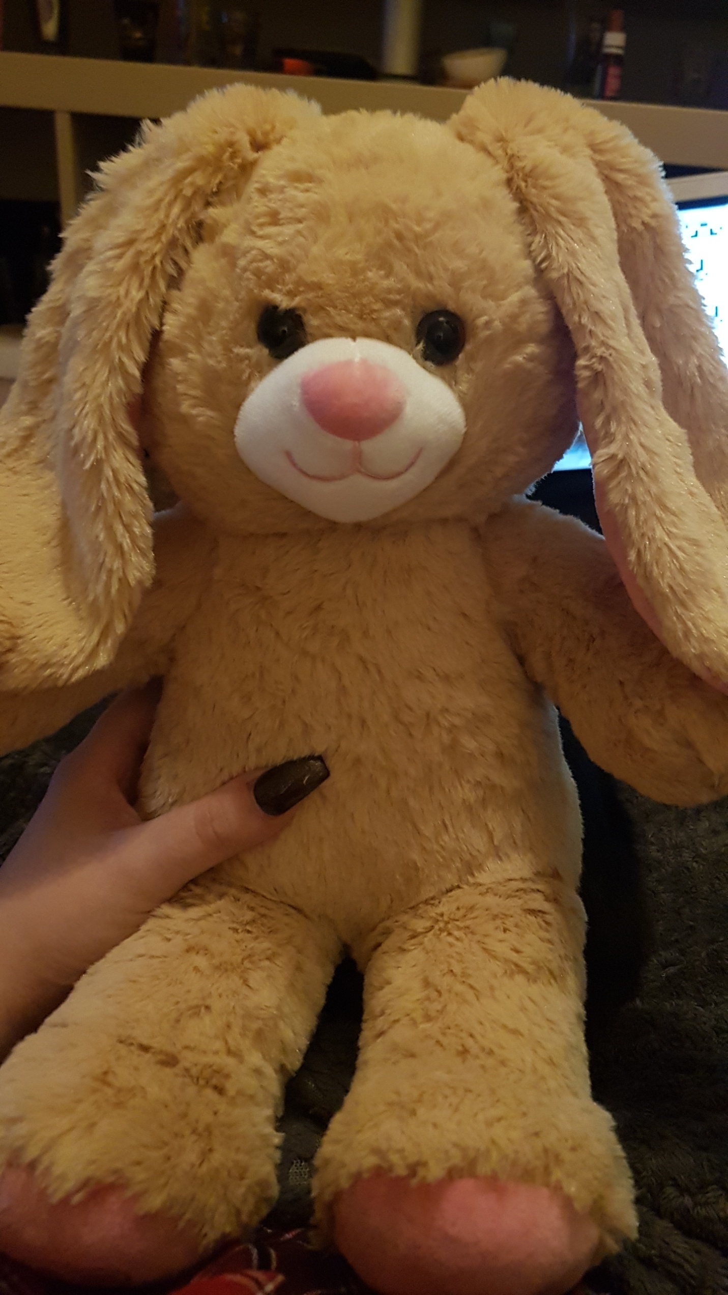 Meet Fleur! Super soft and cuddly 🐰 | Scrolller