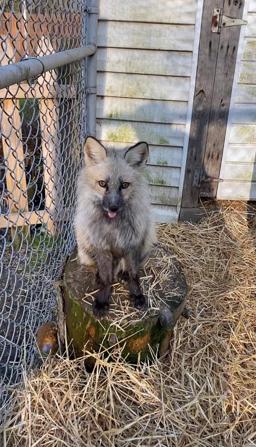 Meet Hunter | Scrolller