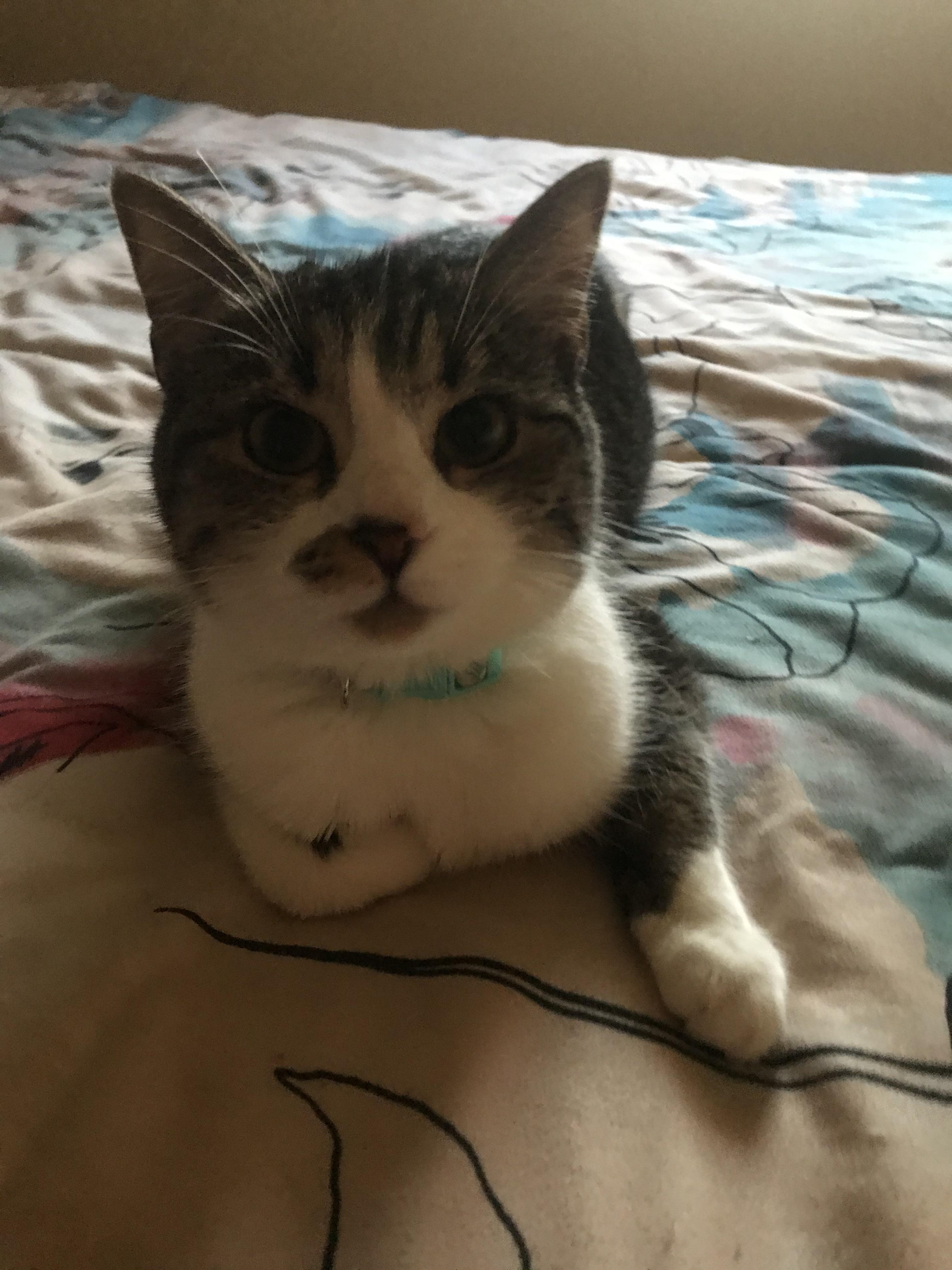 Meet Mimi and her half-stache | Scrolller