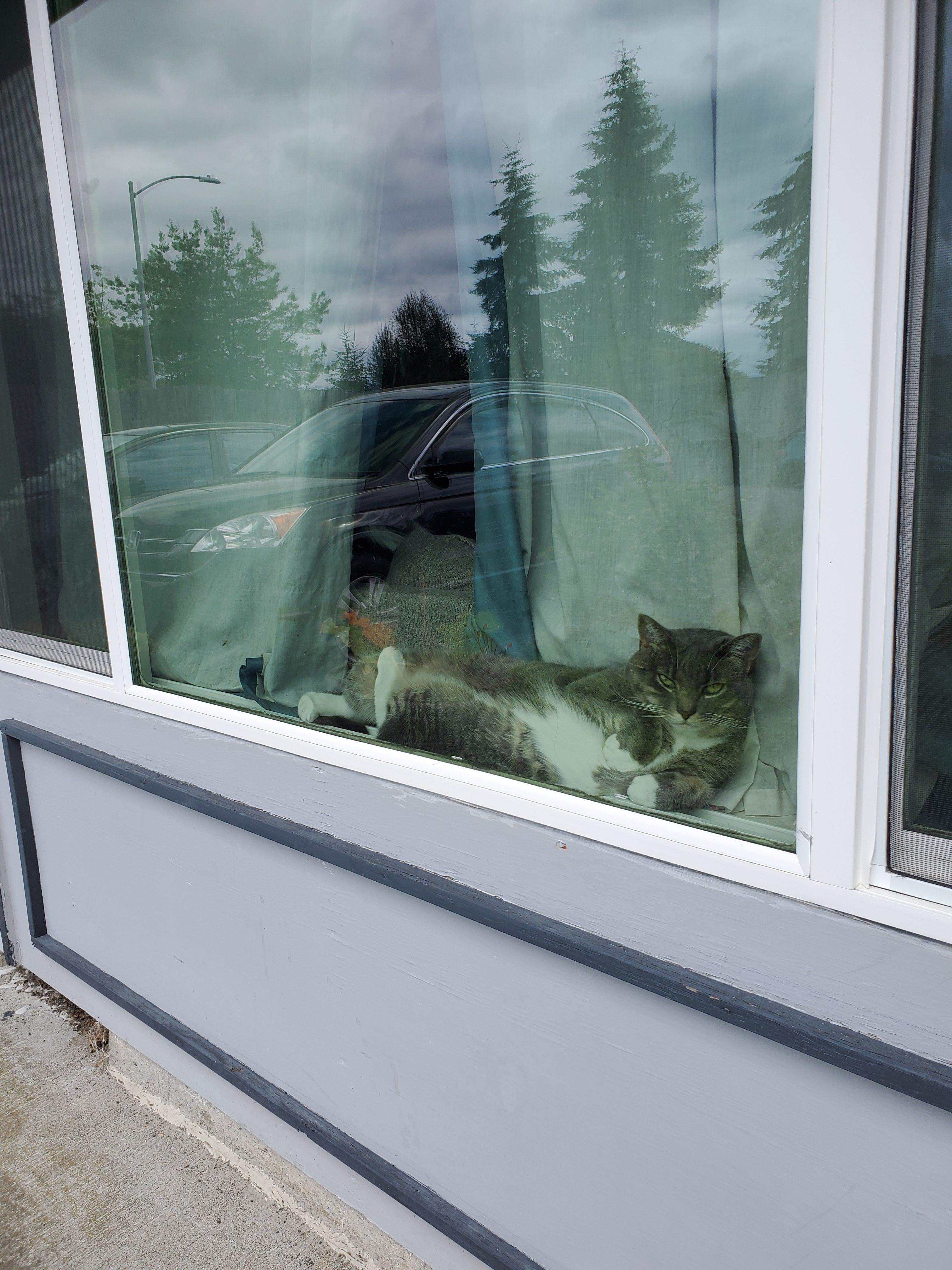 Meet Mochi, everyone! | Scrolller