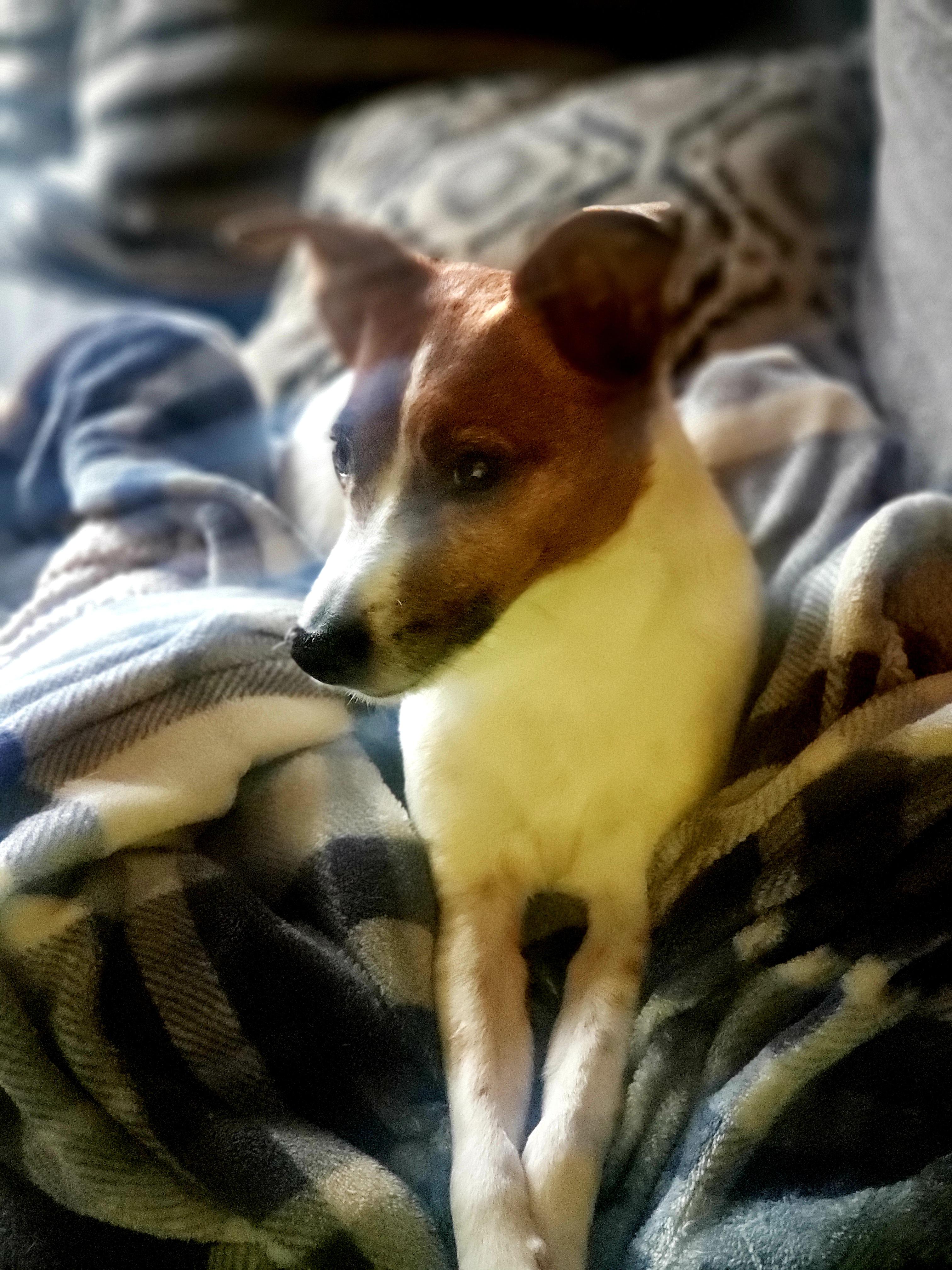 Meet Monkey , my little gentleman | Scrolller