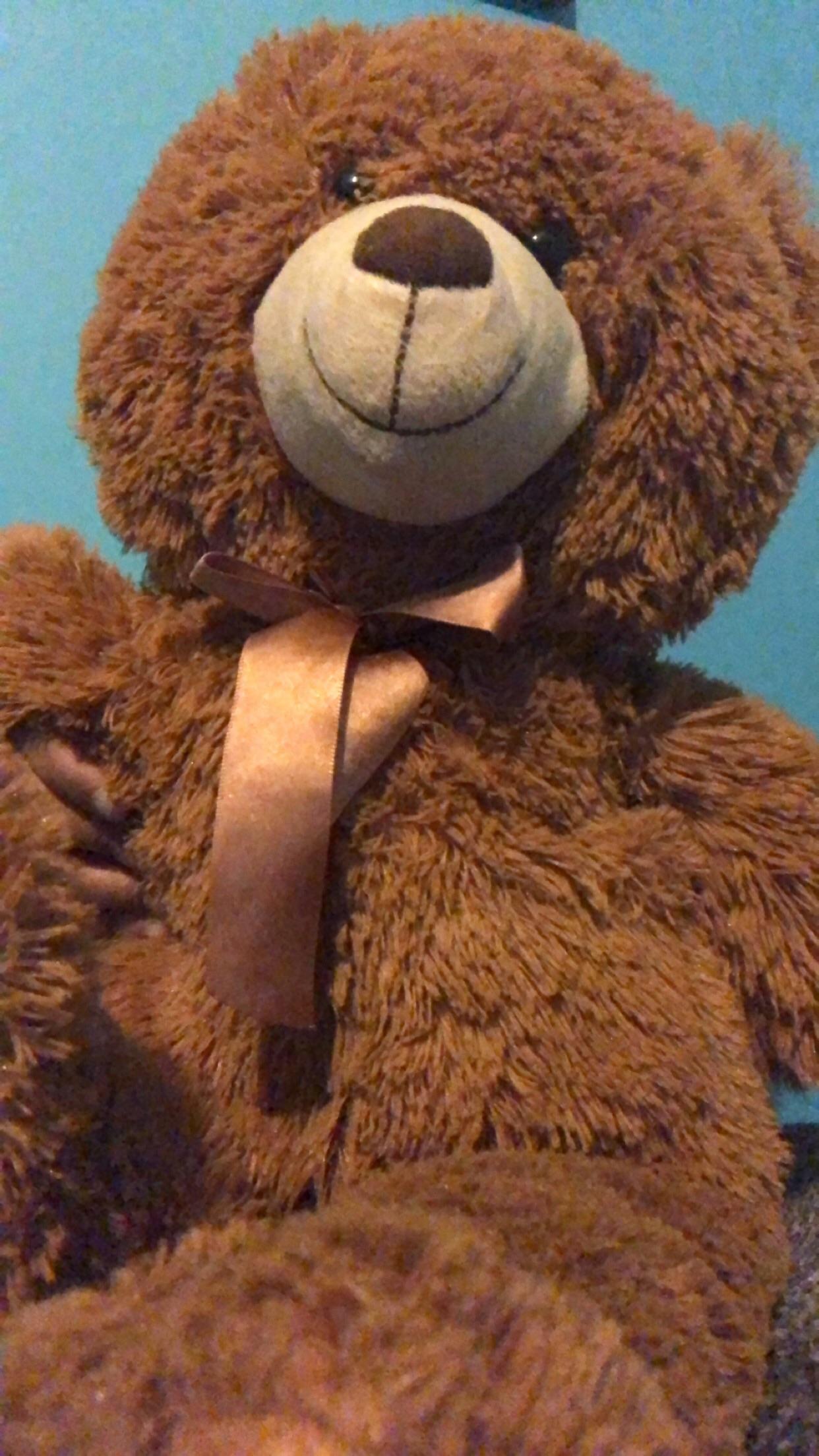 meet Mr.Big Bear :)!! | Scrolller