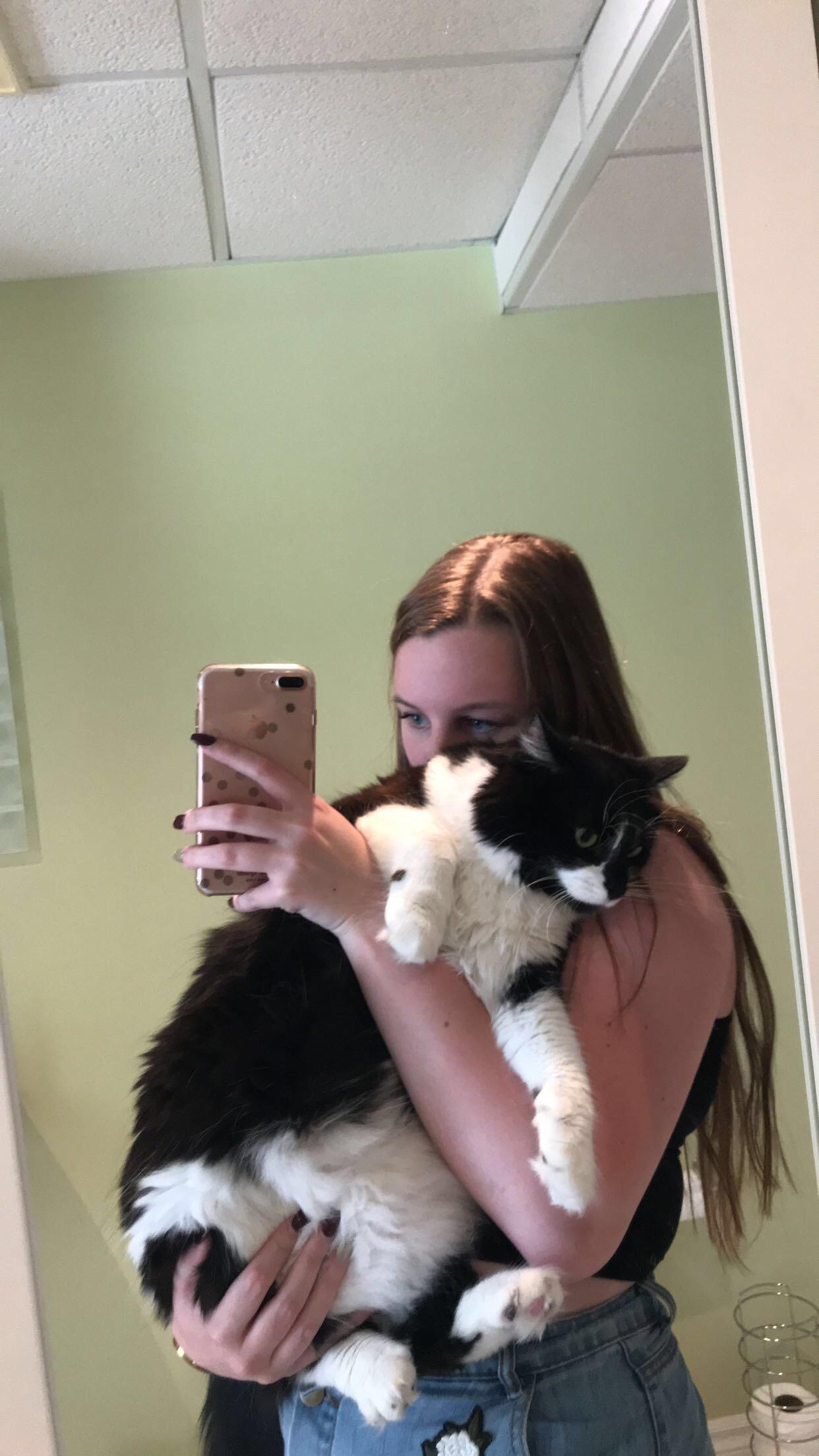 meet my chonky boy, bowie | Scrolller