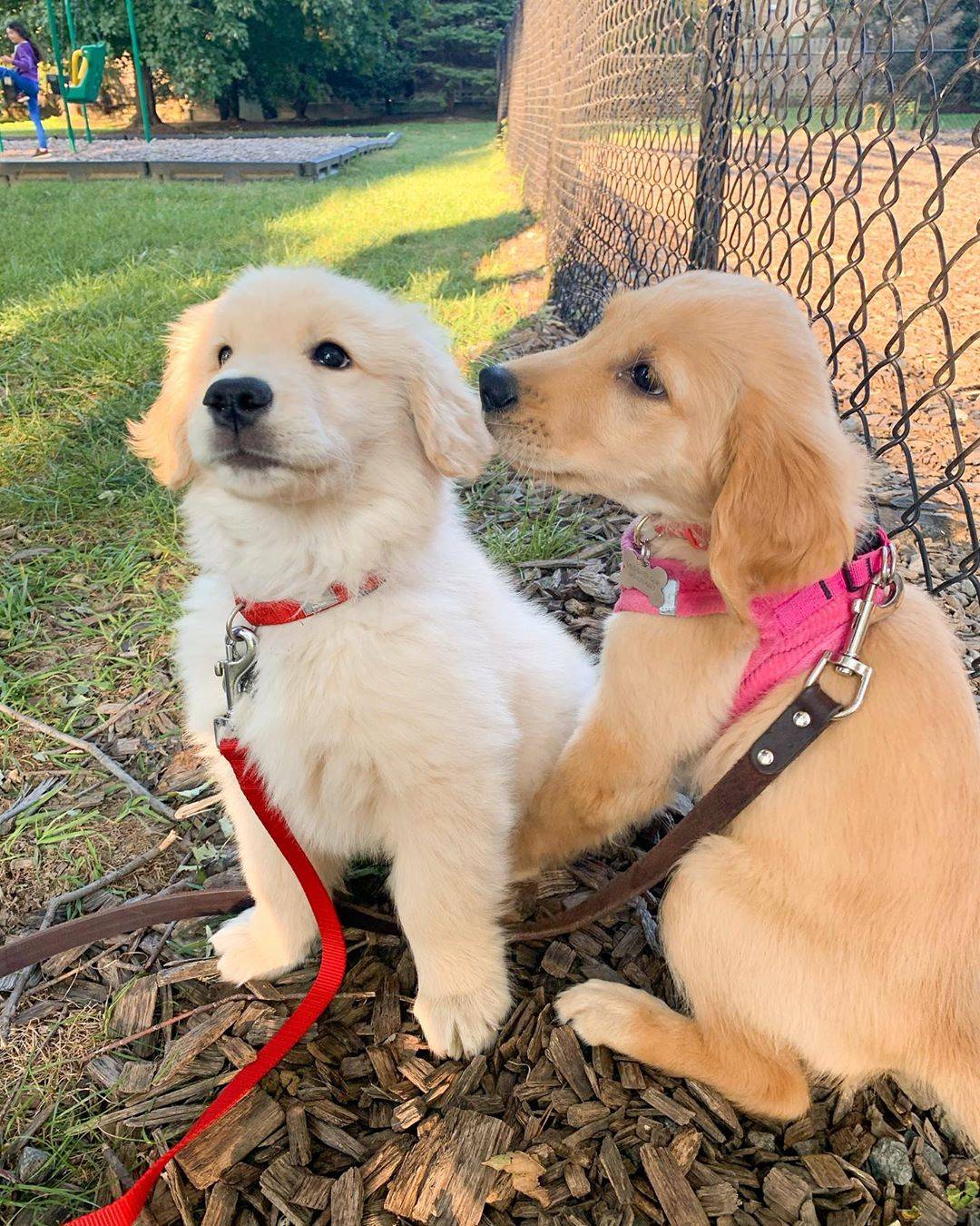 Meet my friend/girlfriend | Scrolller