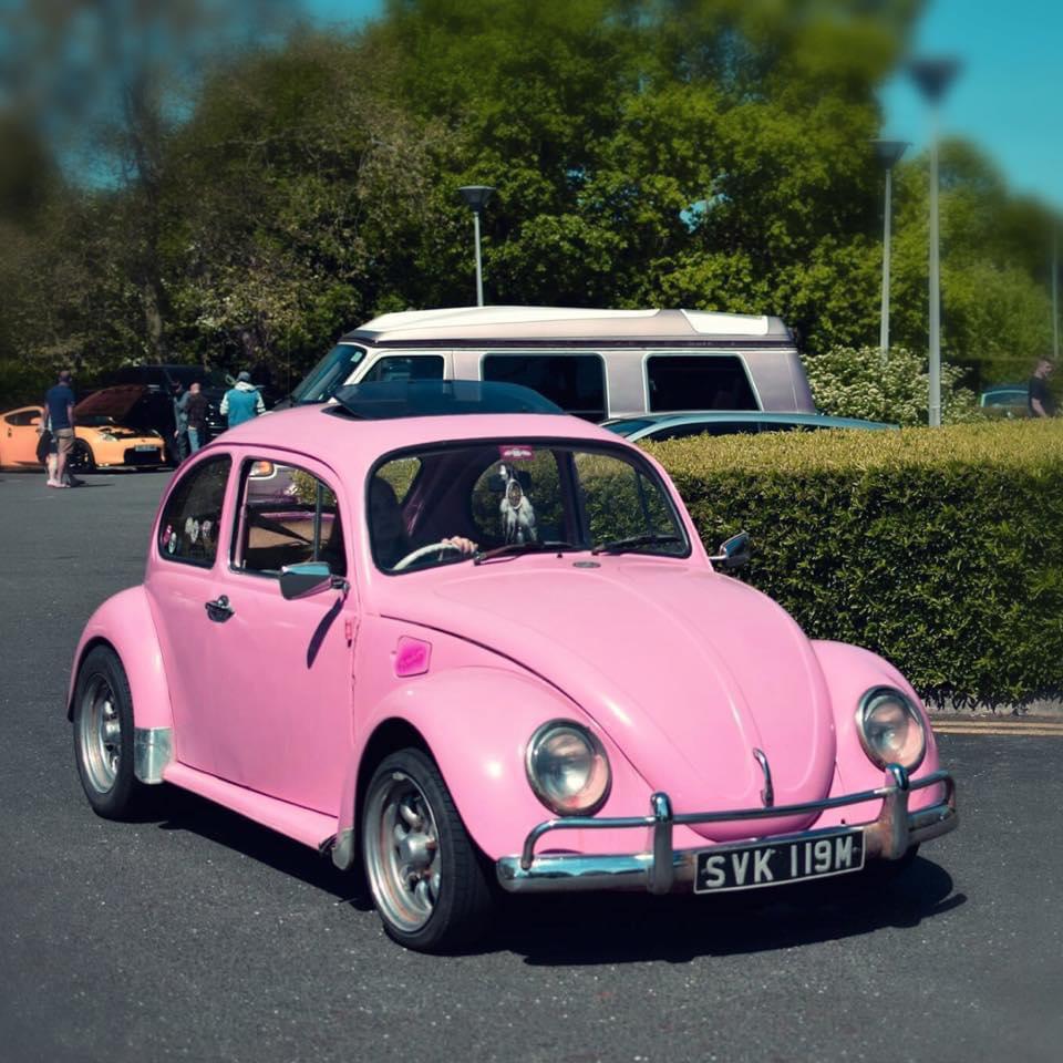 Meet my girl Penelope 🥰 | Scrolller