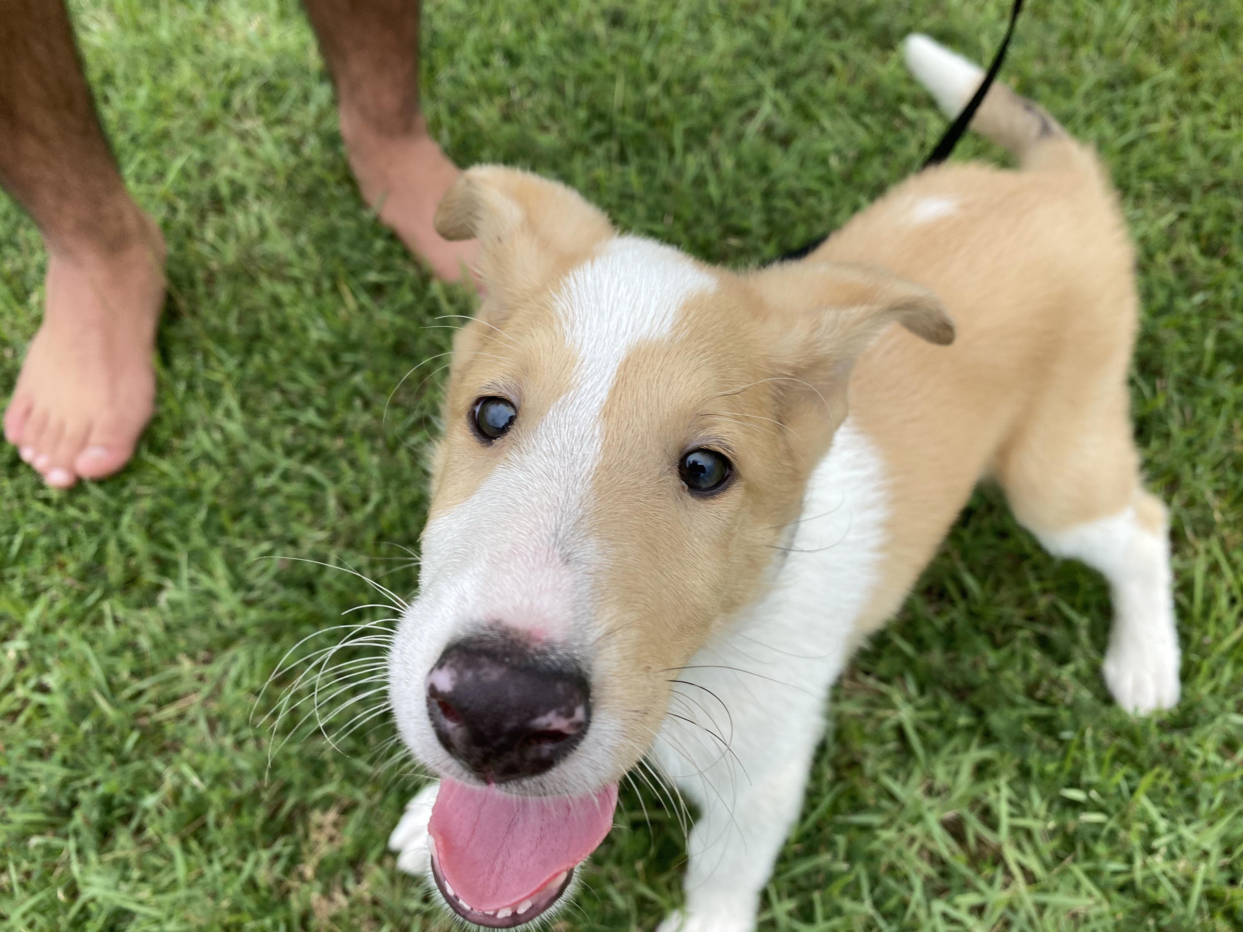 Meet Oliver | Scrolller