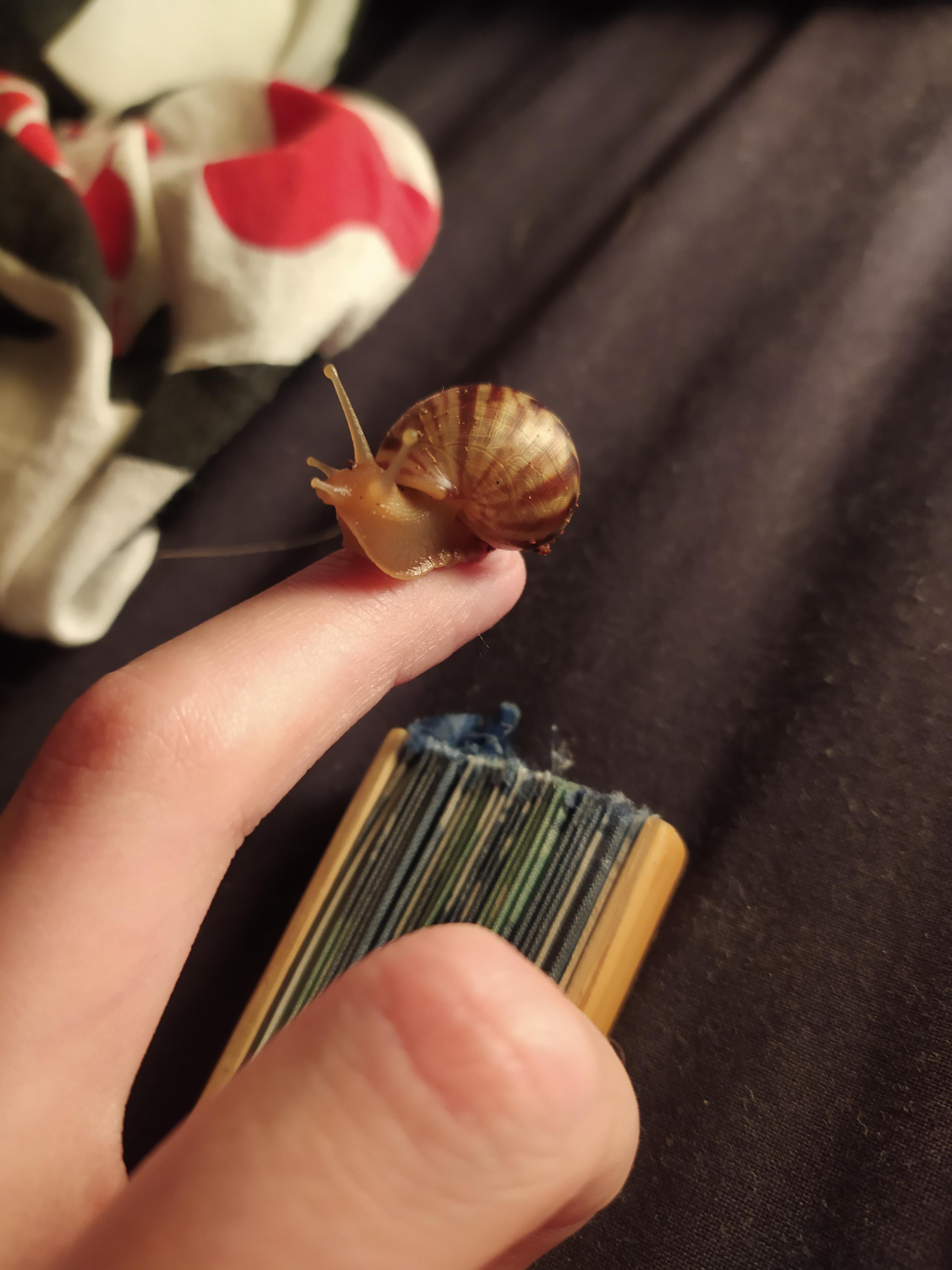 Meet our newest model Bob | Scrolller