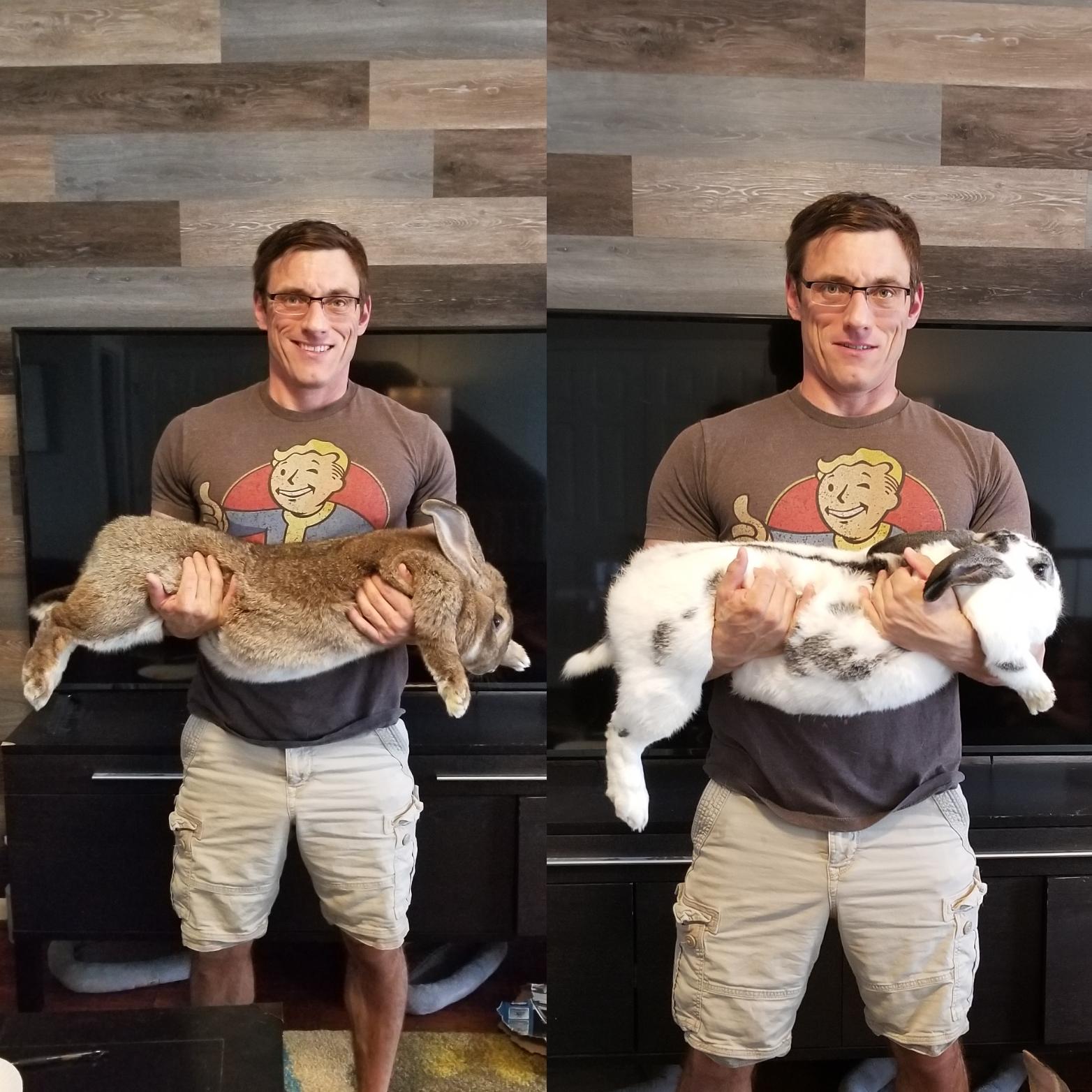 Meet Penelope and her husbun Hoptomis Prime | Scrolller