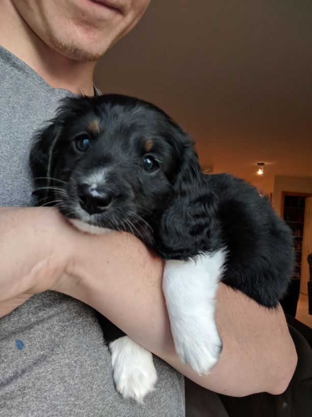 Meet Simon | Scrolller