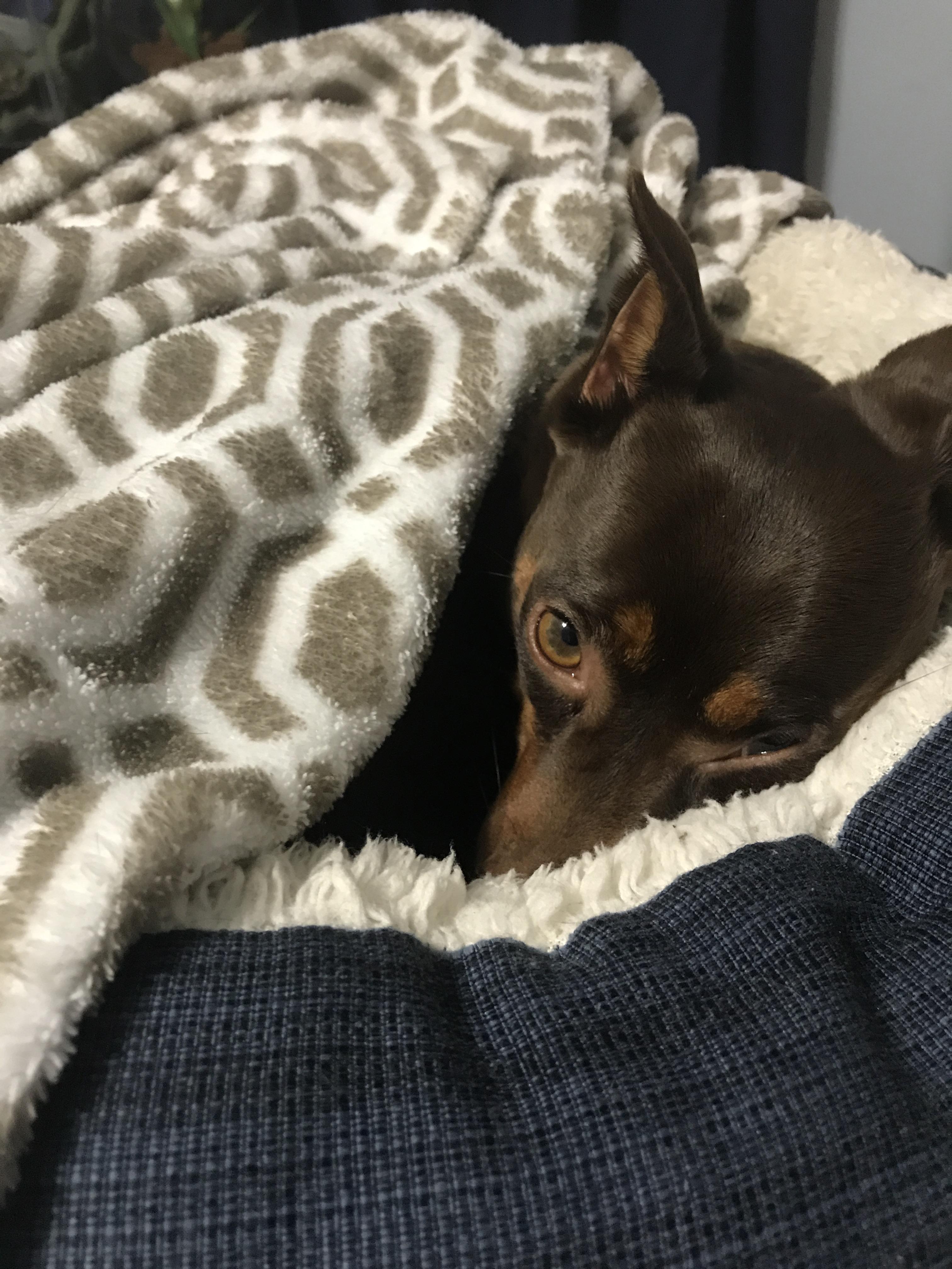 Meet Skeeter! | Scrolller