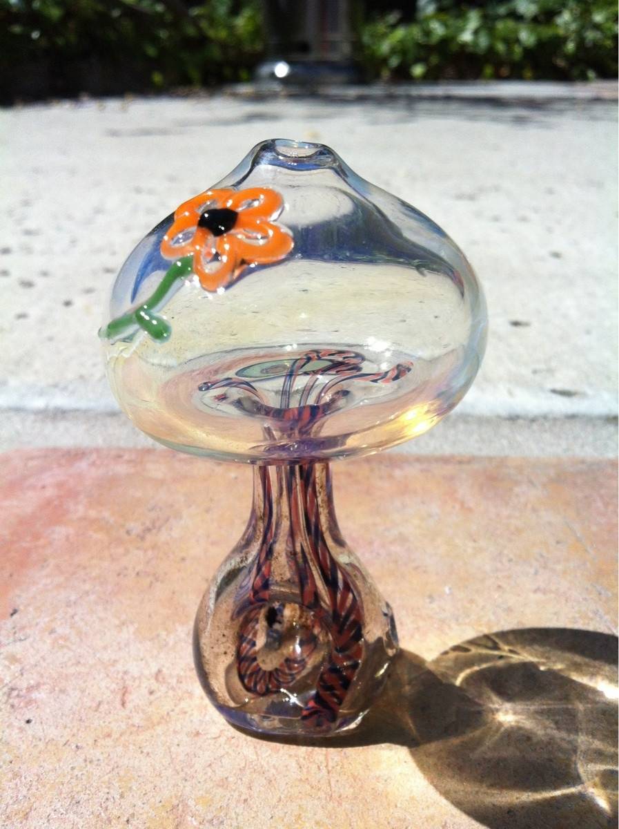 Meet Toad | Scrolller