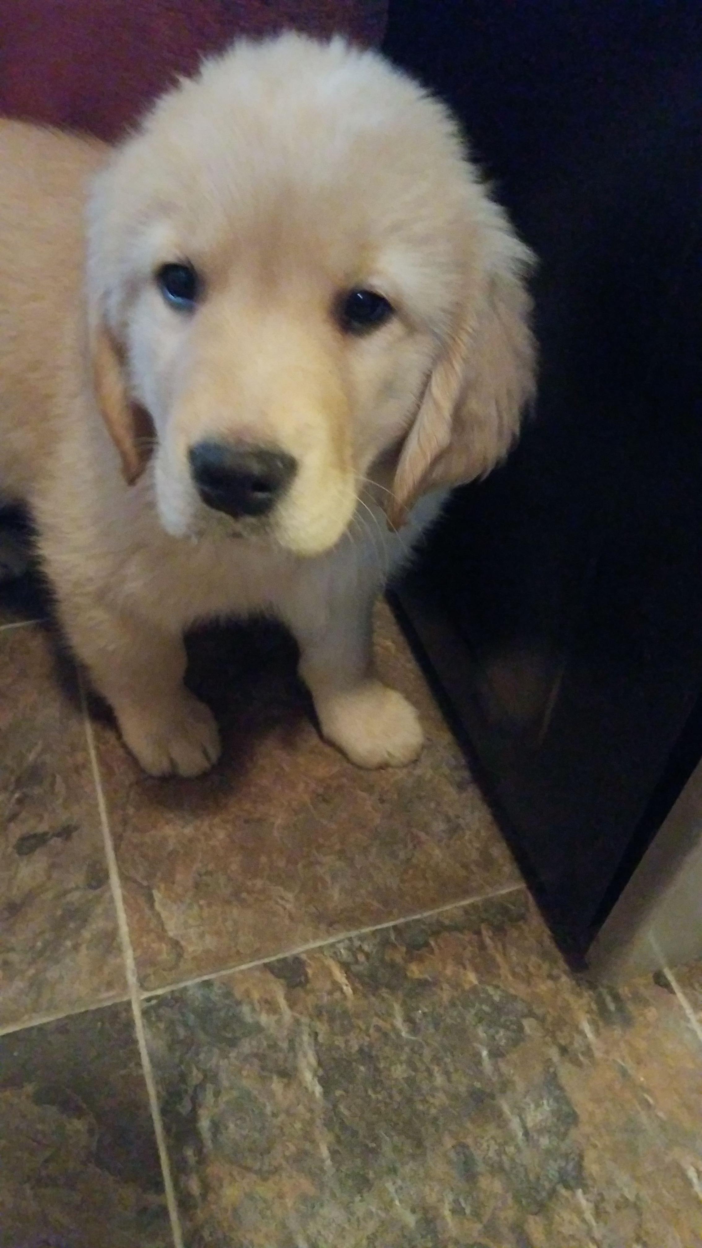 Meet Walter. In his house there are rules. This isn't Nam. | Scrolller