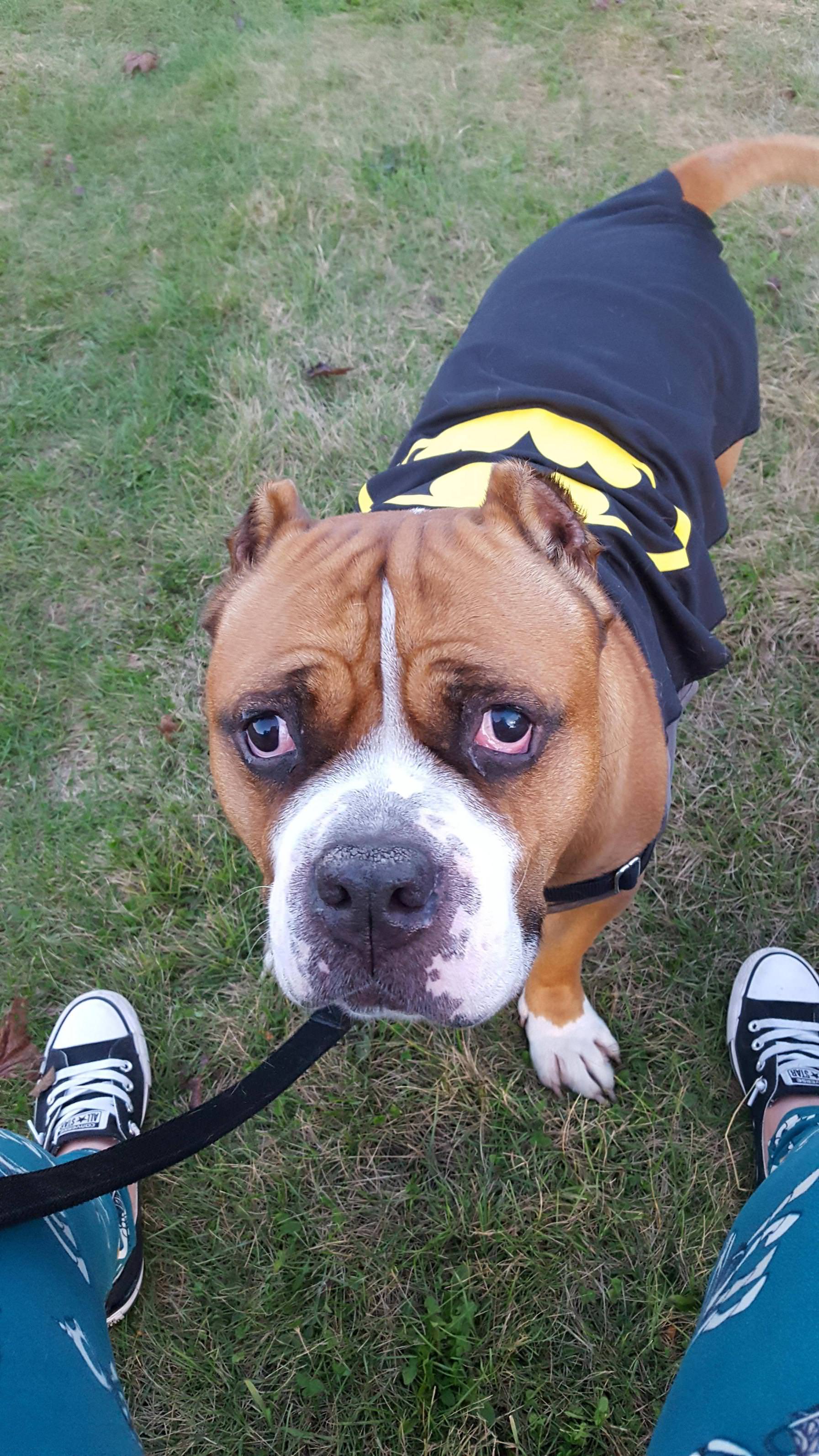 Meet Zeus | Scrolller