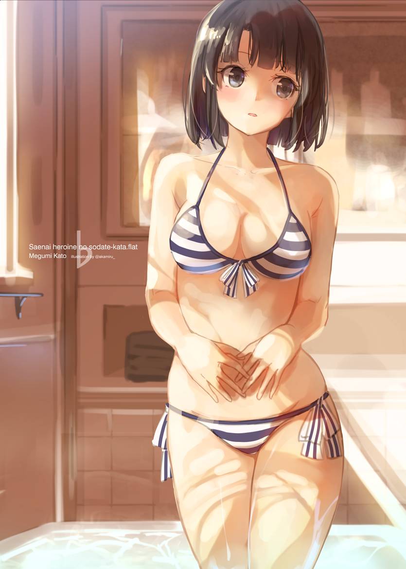 Megumi Kato from Saekano | Scrolller