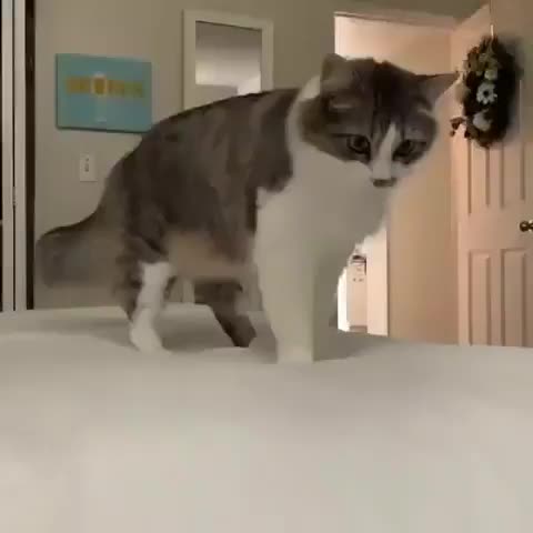 Melting* | Scrolller