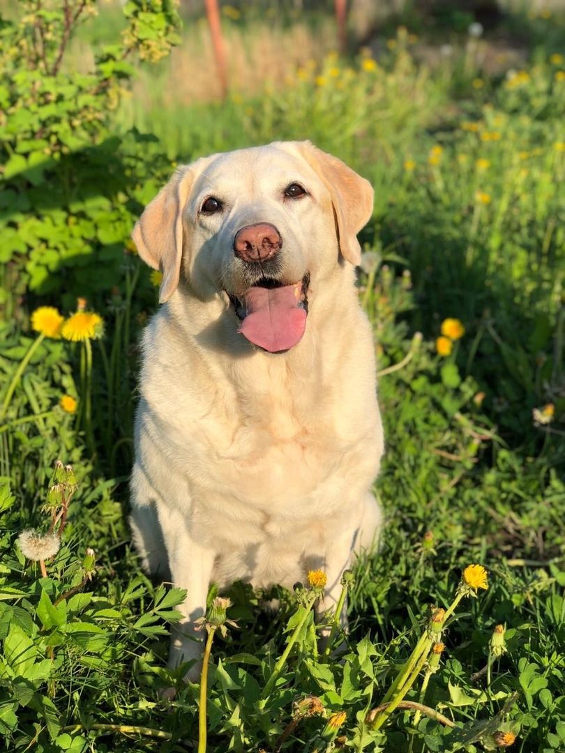 memories of the summer | Scrolller