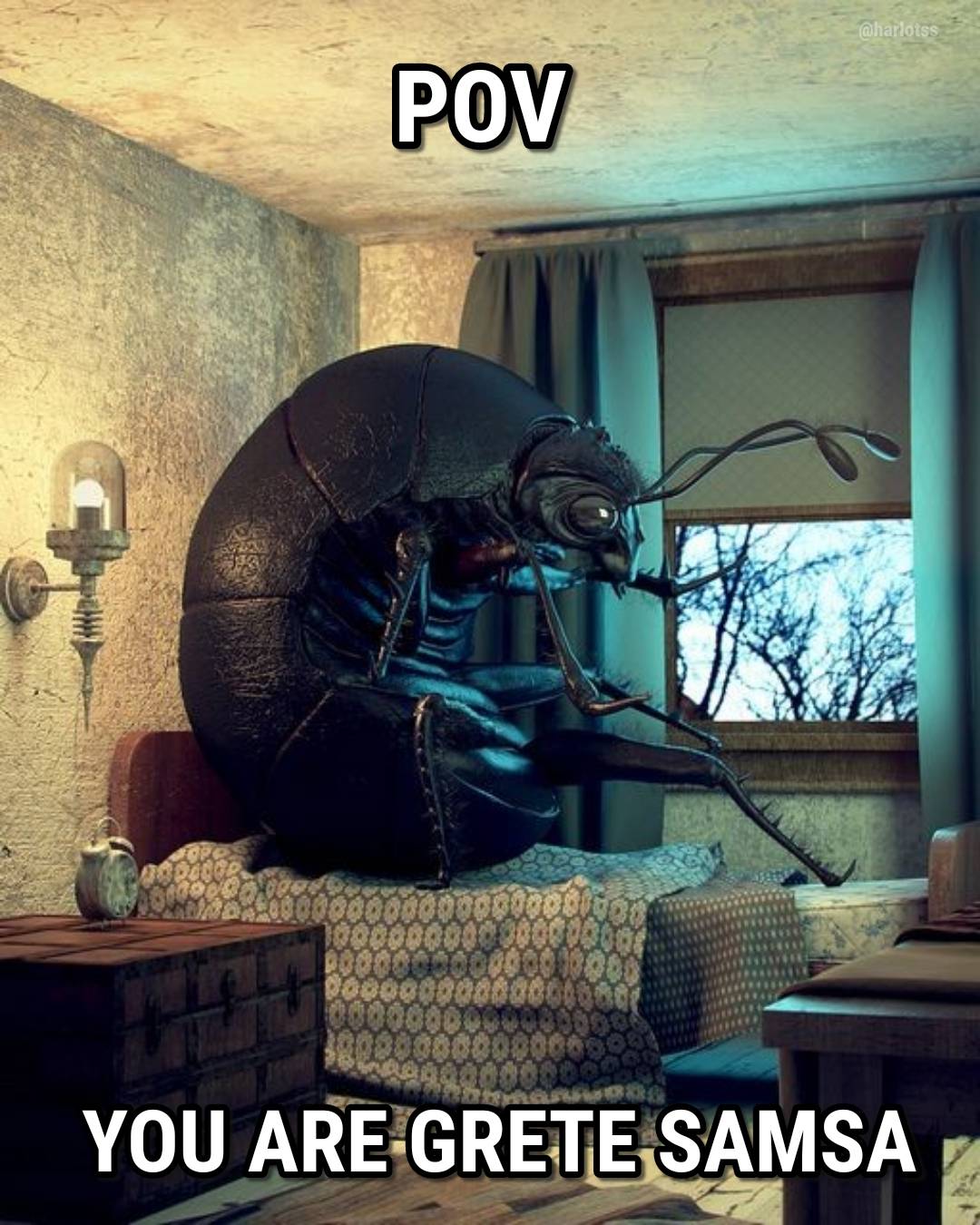 Metamorphosis Appreciation Post | Scrolller