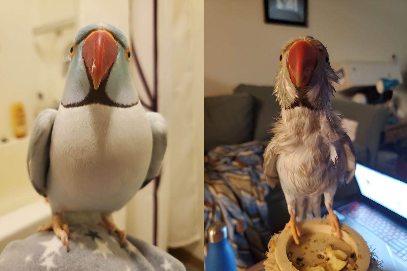 Meth: Not Even Once | Scrolller