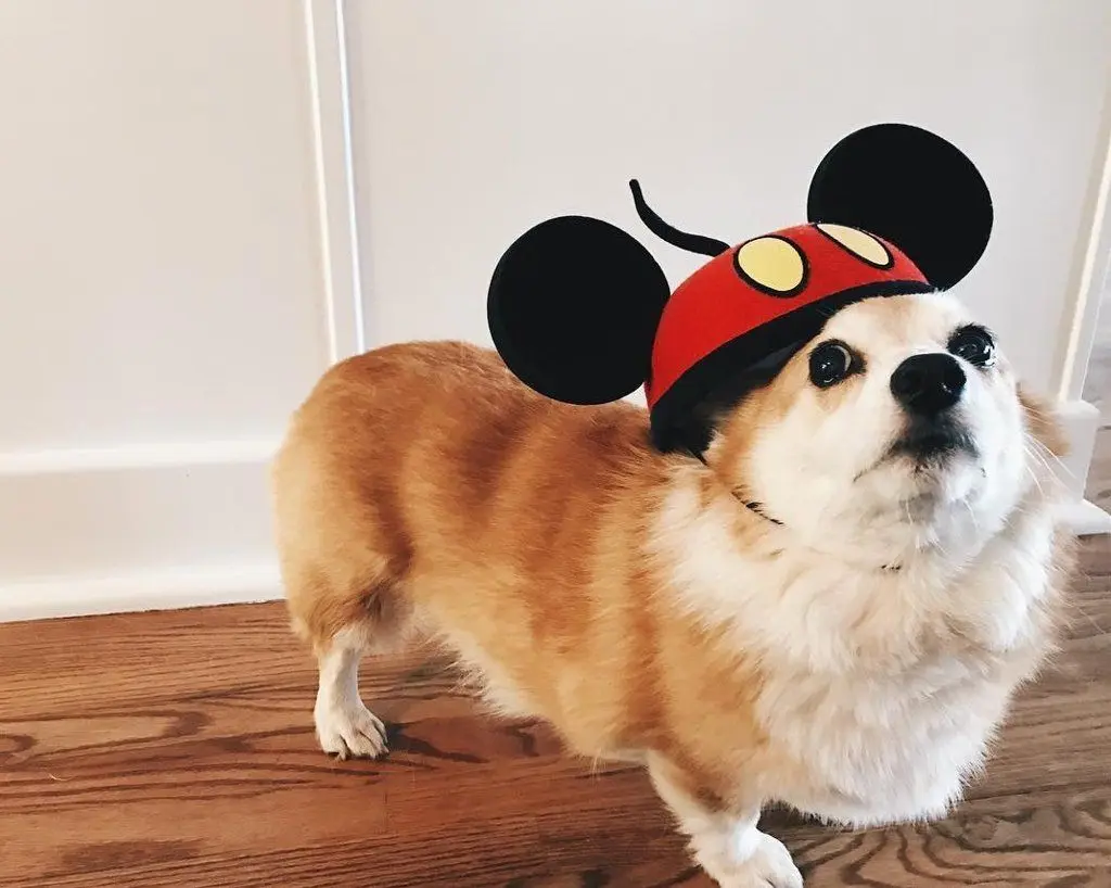 Mickey Scrolller 4532