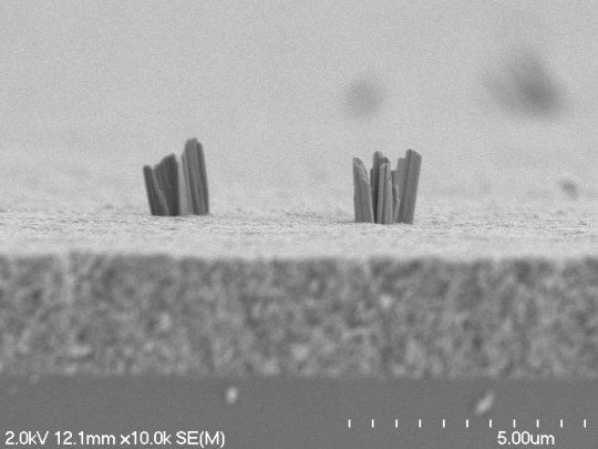 Microscopic cinnamon sticks protruding from a metal oxide thin film. | Scrolller