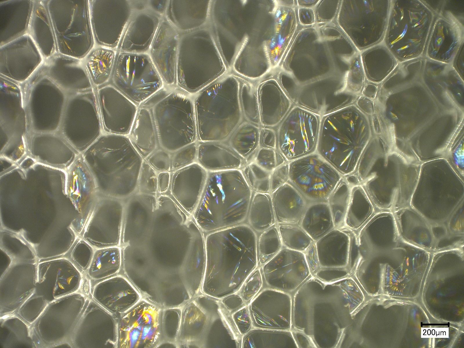 Microscopic image of foam. | Scrolller