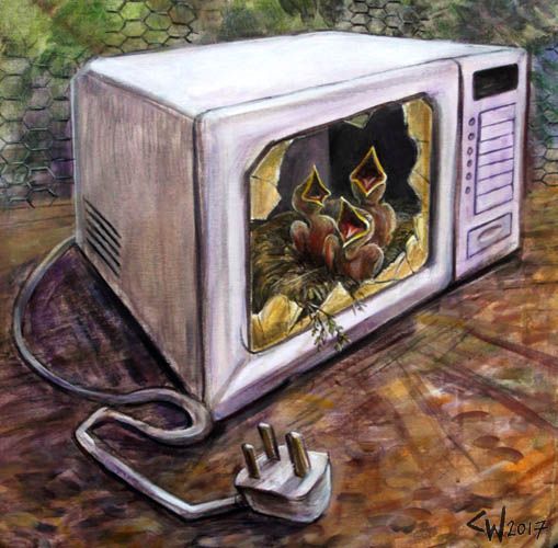 Microwave, by Craig Wilson | Scrolller