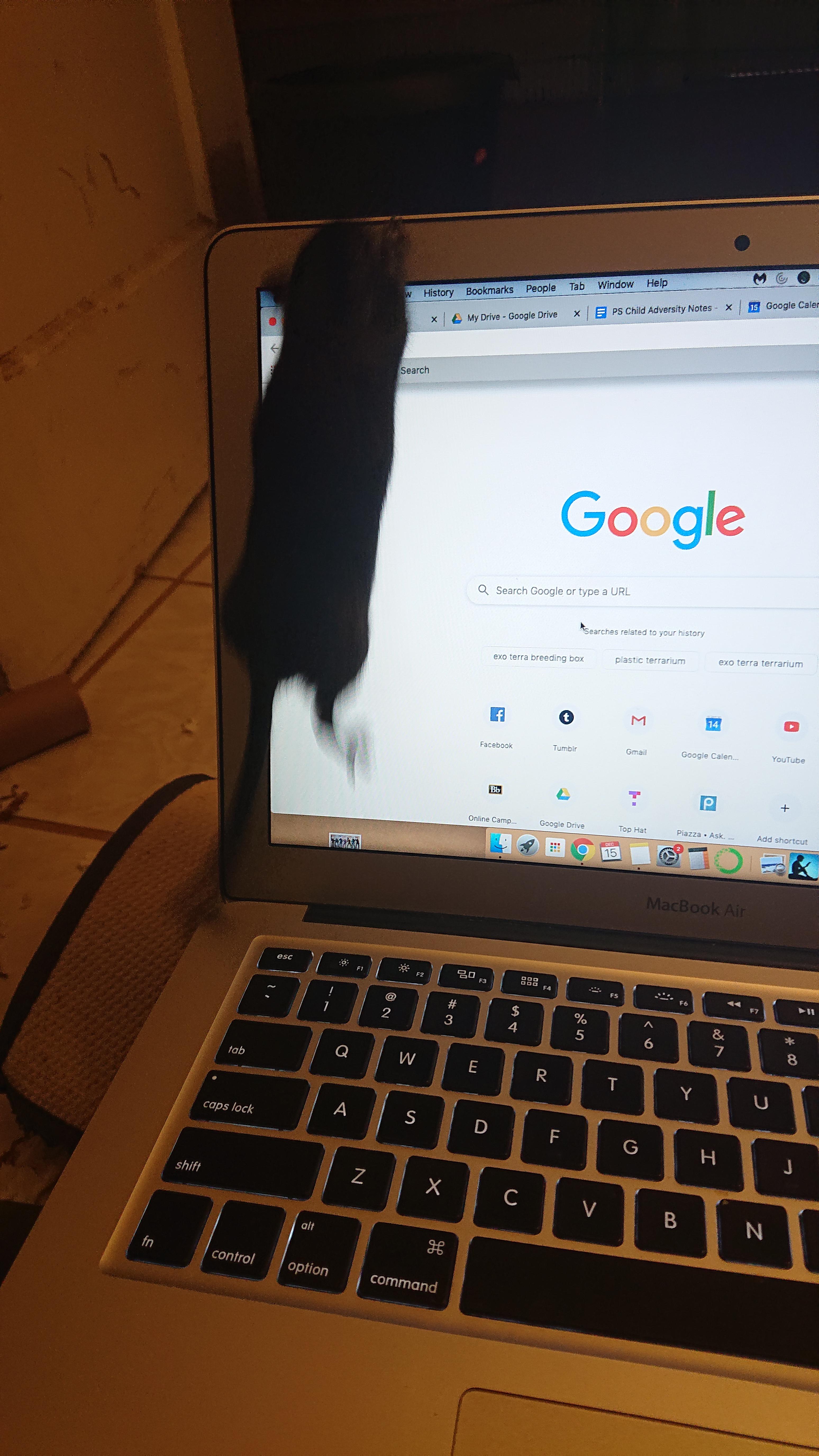 Mid ZOOM | Scrolller