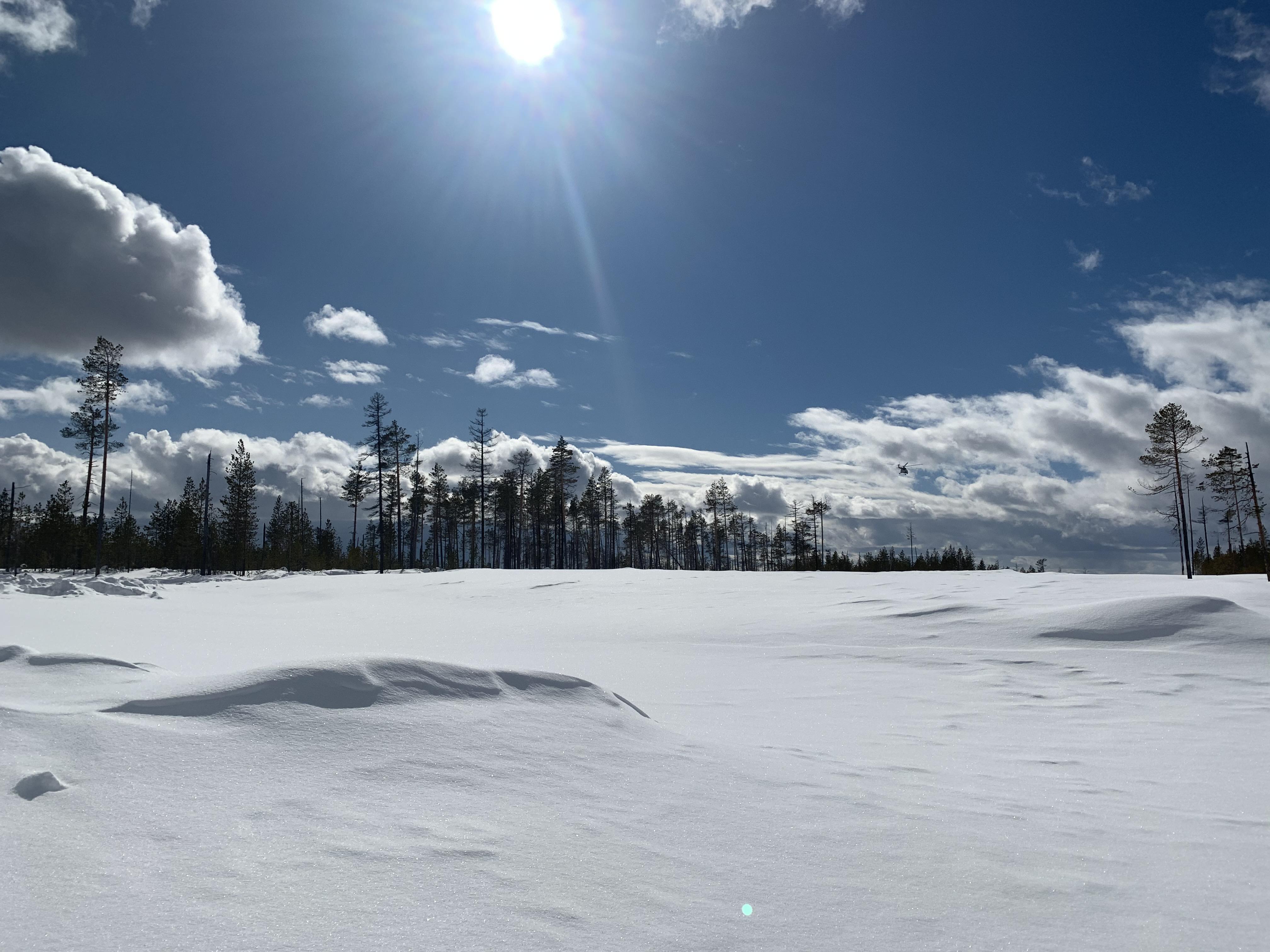 Middle of March | Scrolller