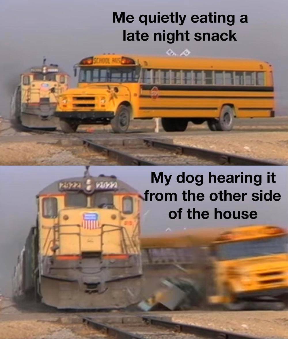 Midnight snacks | Scrolller