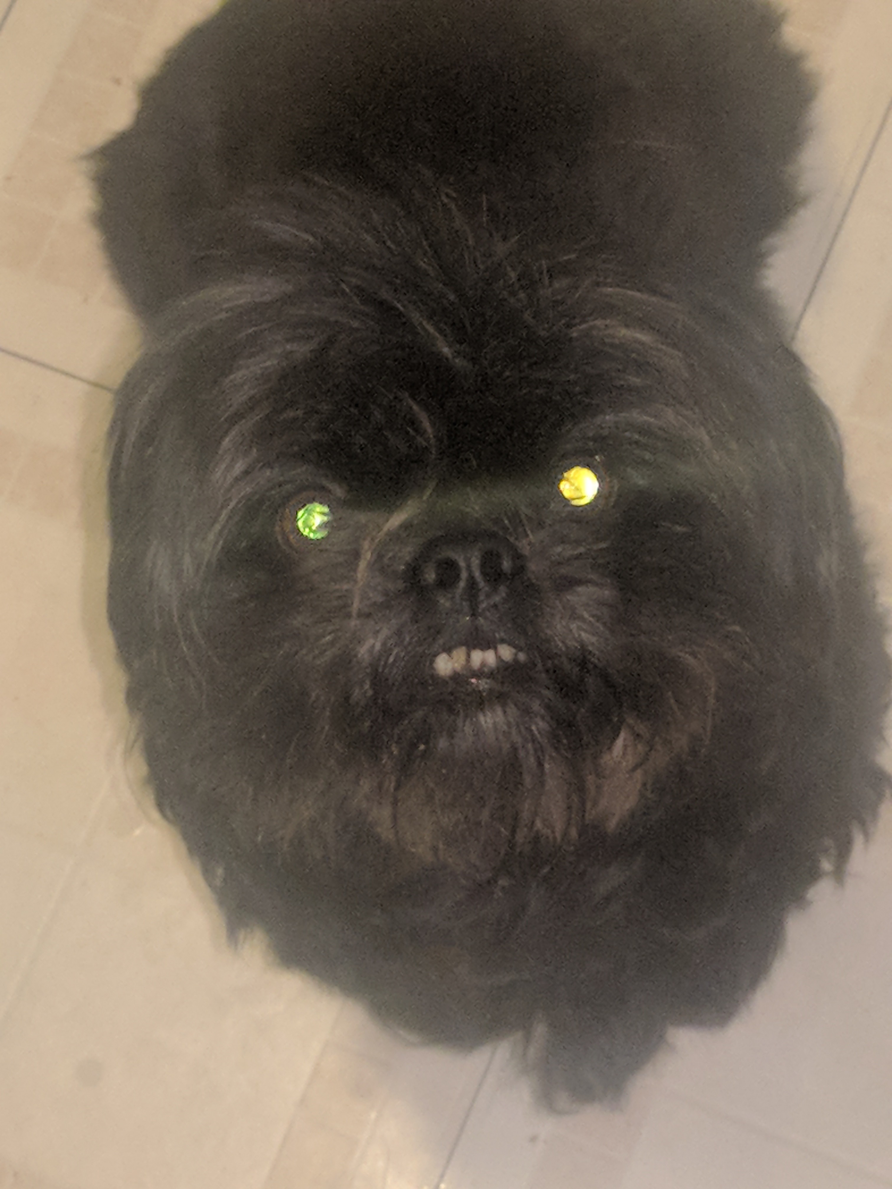 Midnight used Hyperbeam. It's Super Effective! | Scrolller