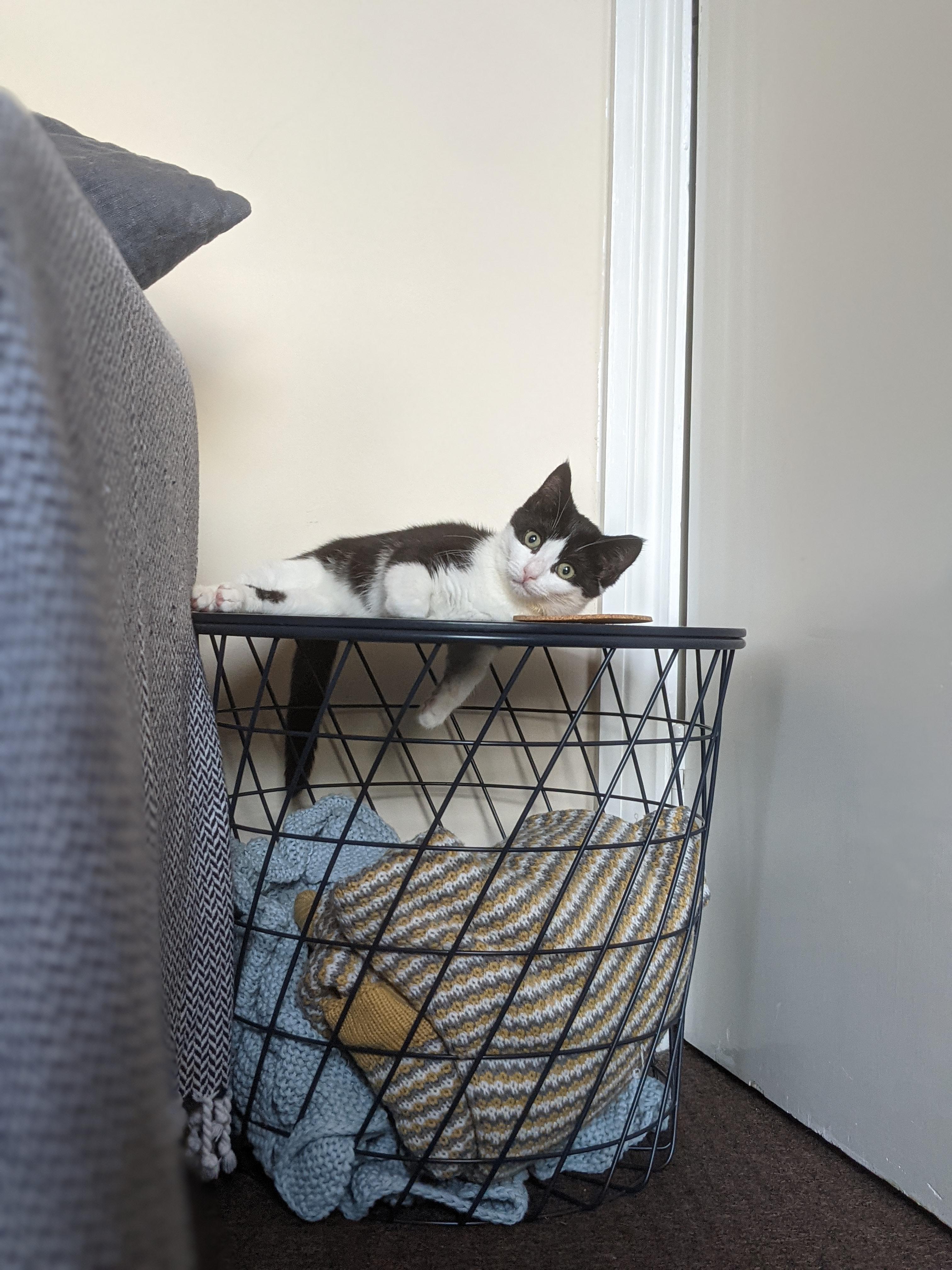 Mildly Startled Gloria | Scrolller