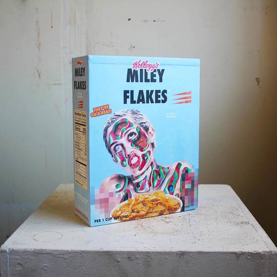 “Miley Flakes” Me, Cereal Box Sculpture | Scrolller