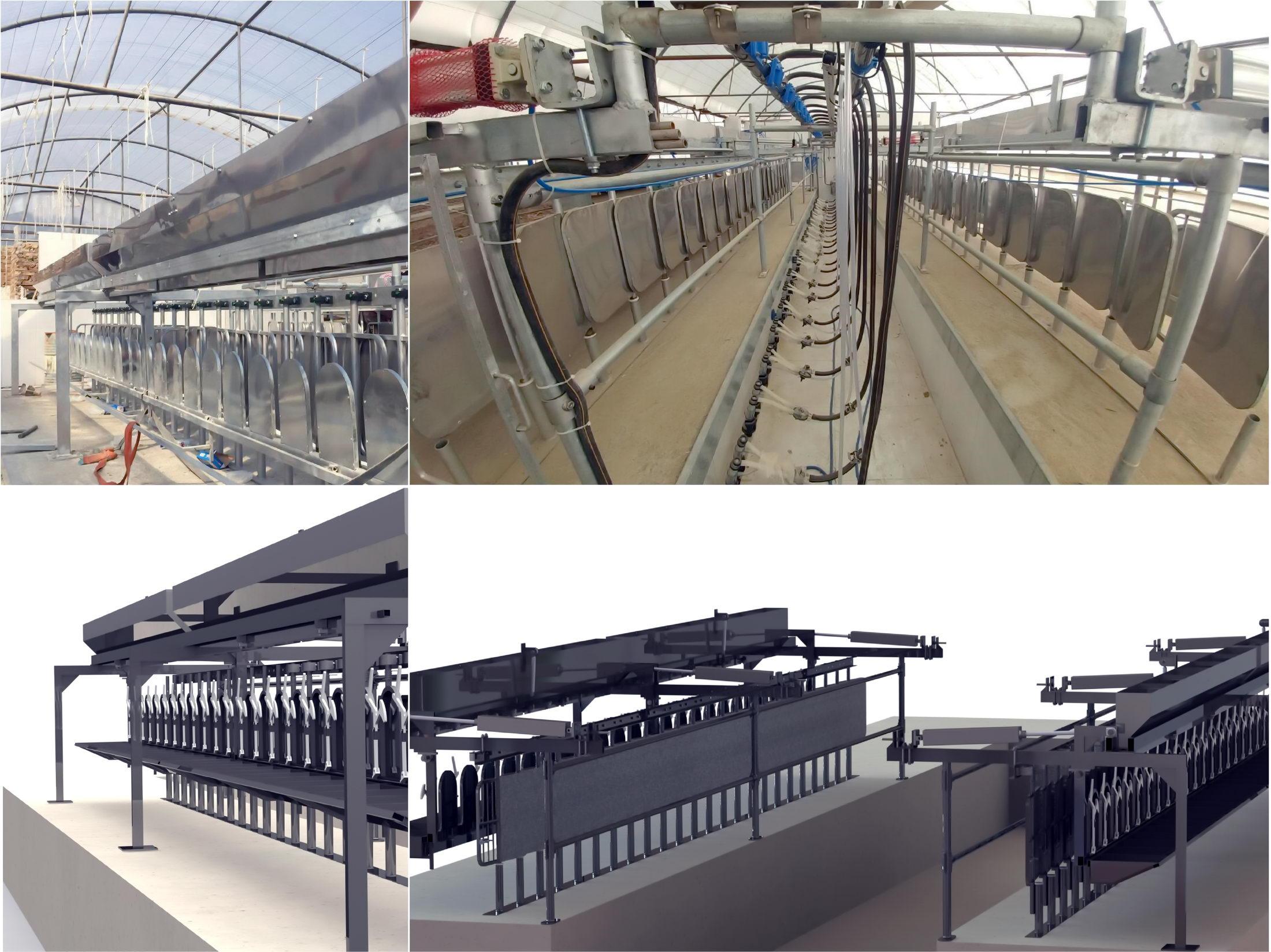 Milking farm - Design, 3D Modeling and shop drawing - Solidworks | Scrolller