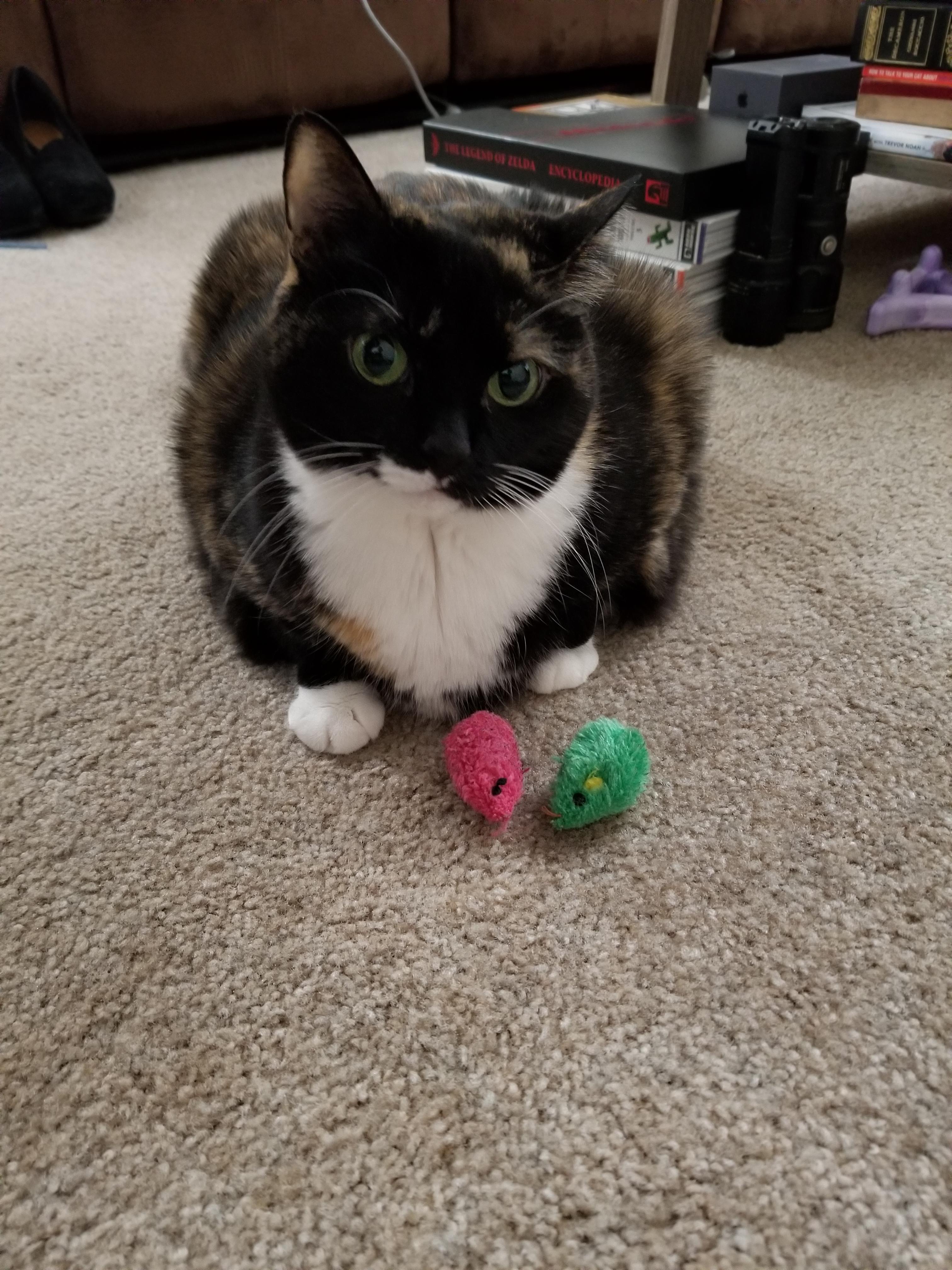 Millie just hanging out with Cosmo and Wanda | Scrolller